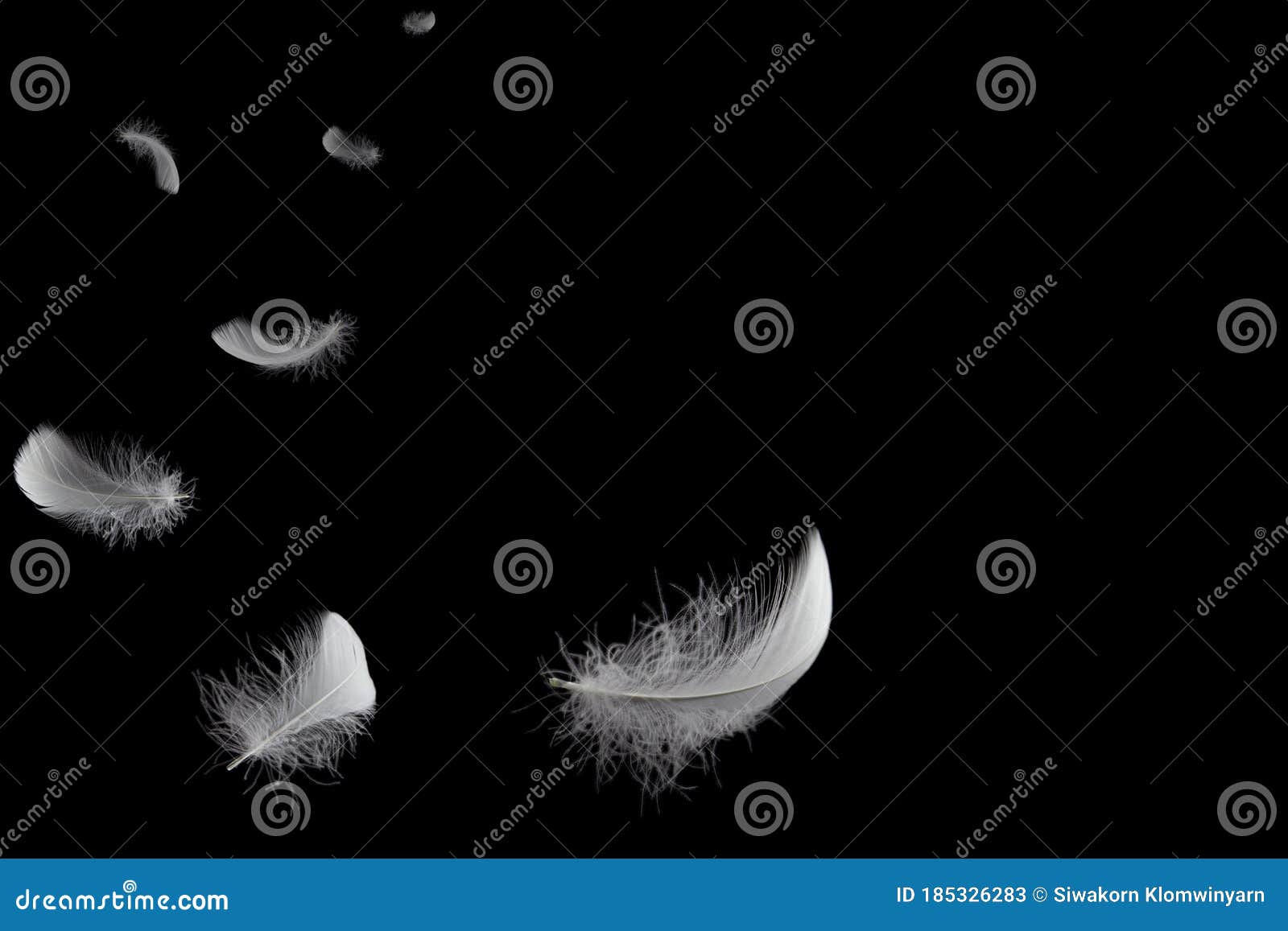 Light Fluffy a White Feathers Floating in the Air, Black or Dark ...