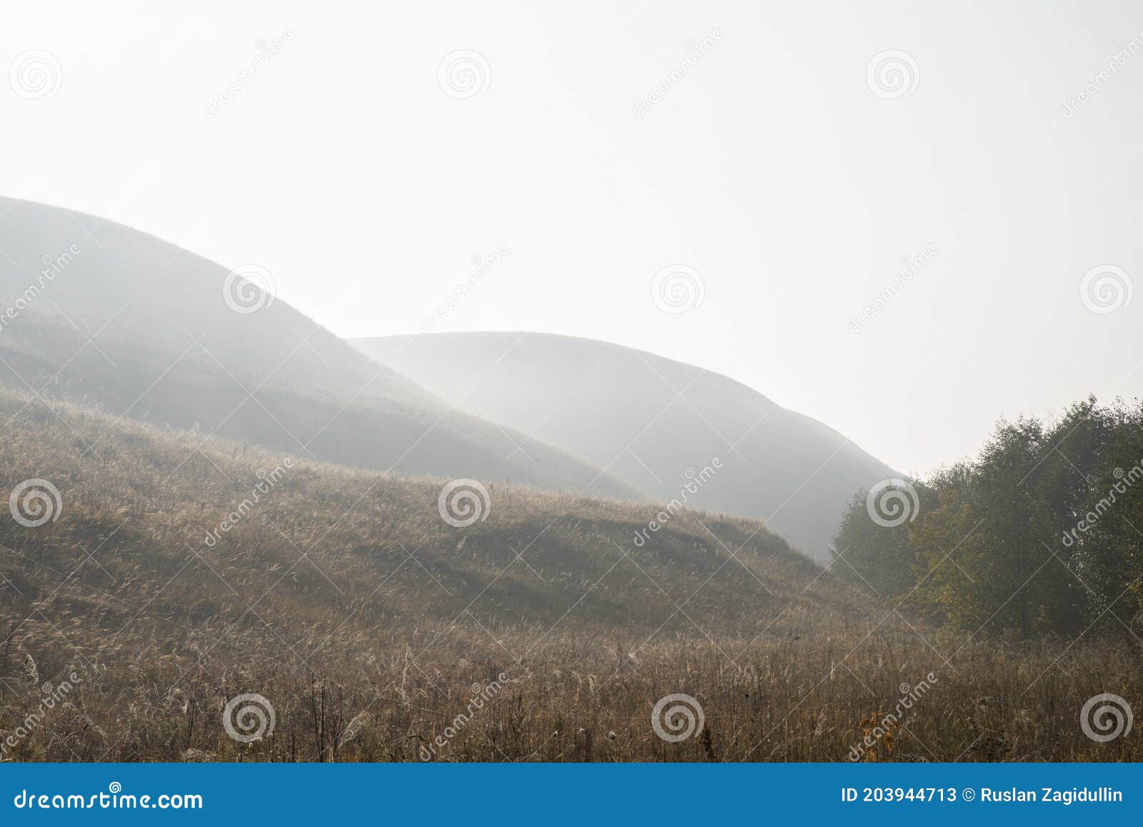 Light Fog Over the Hills Where the Grass Grows Stock Image - Image of ...