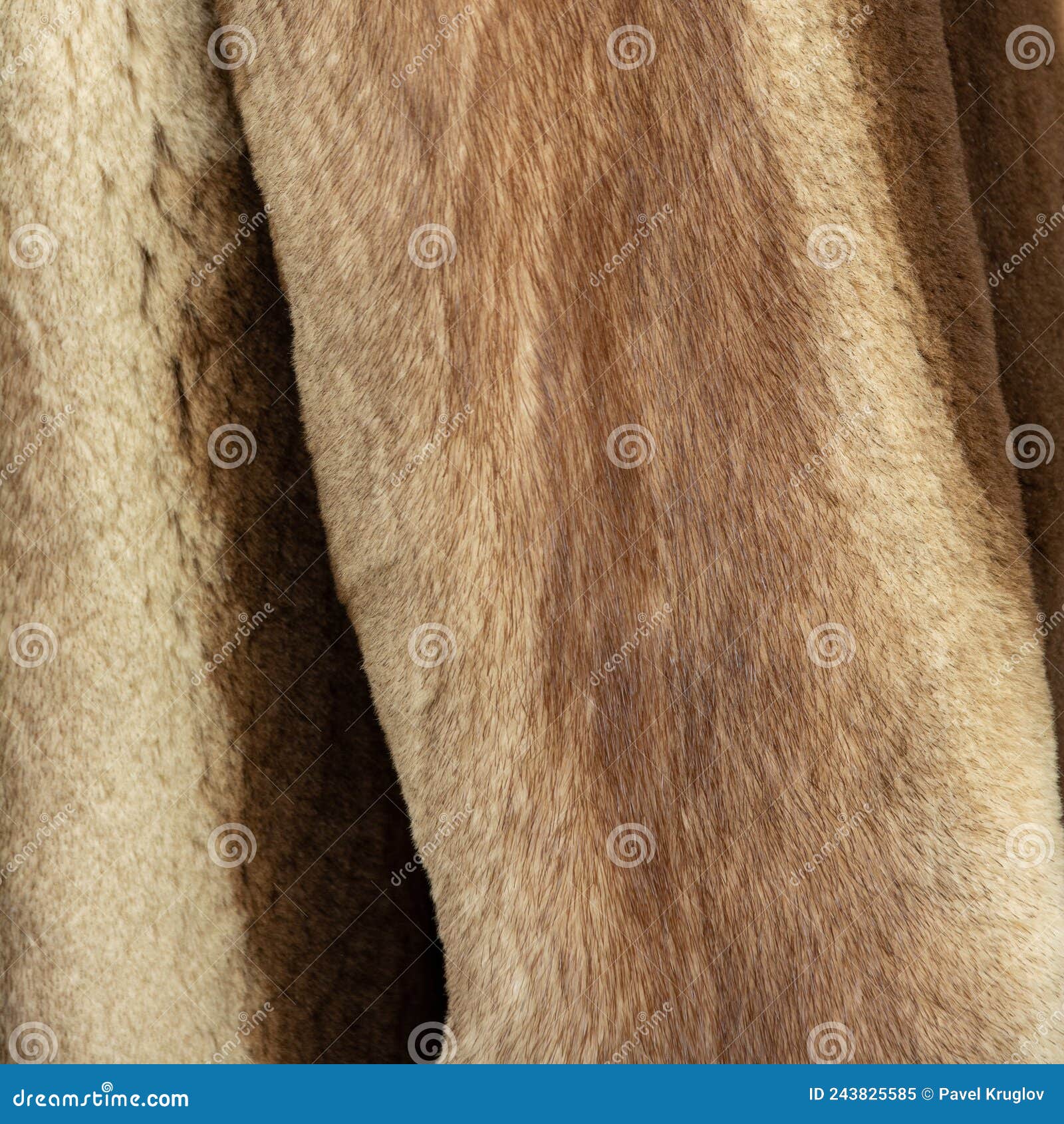 Light Fur on a Fur Coat with a Shallow Depth of Field and Blur. Shiny ...