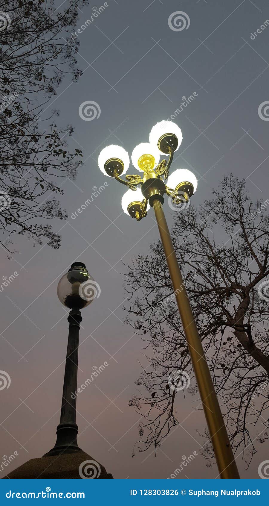 The light in the gloaming. stock photo. Image of artificial - 128303826