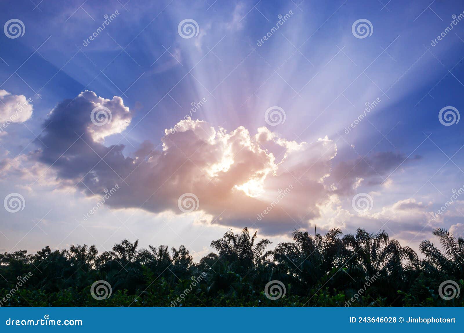 Light of God with Cloud Sky Sunlight Stock Photo - Image of ...