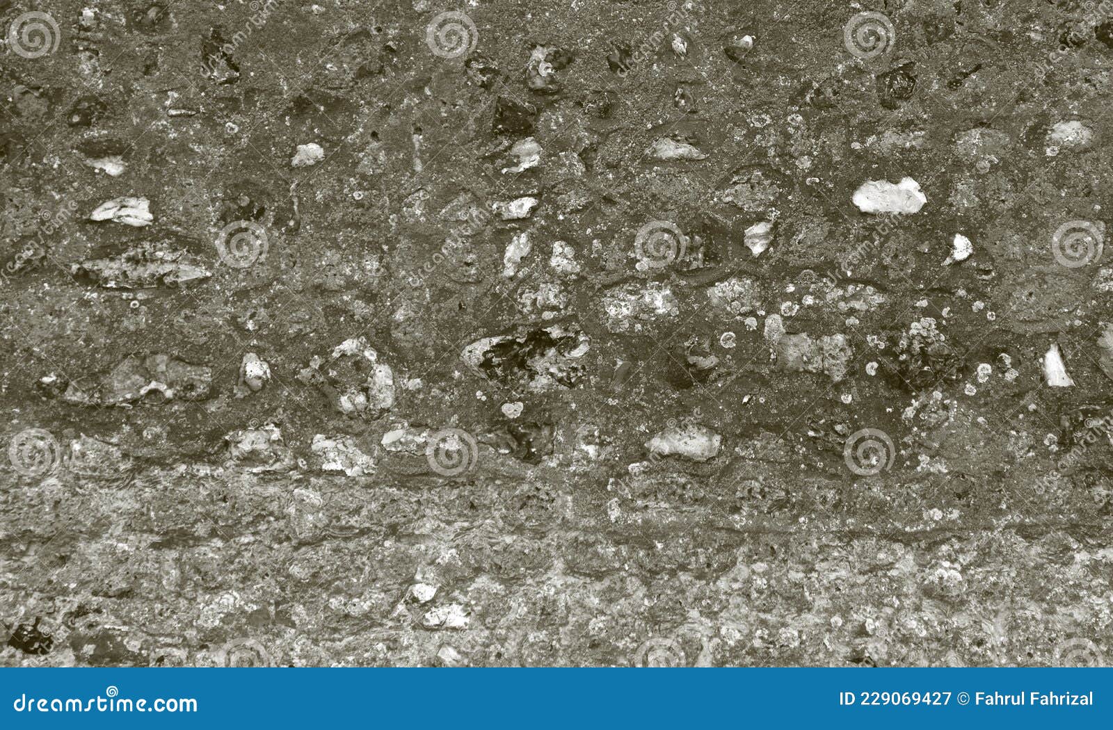 Light Gray Limestone Texture, Seamless, Tiling Stock Image - Image of ...