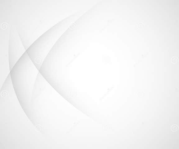 Light Gray Line Element Abstract Vector Curve Background Stock Vector ...