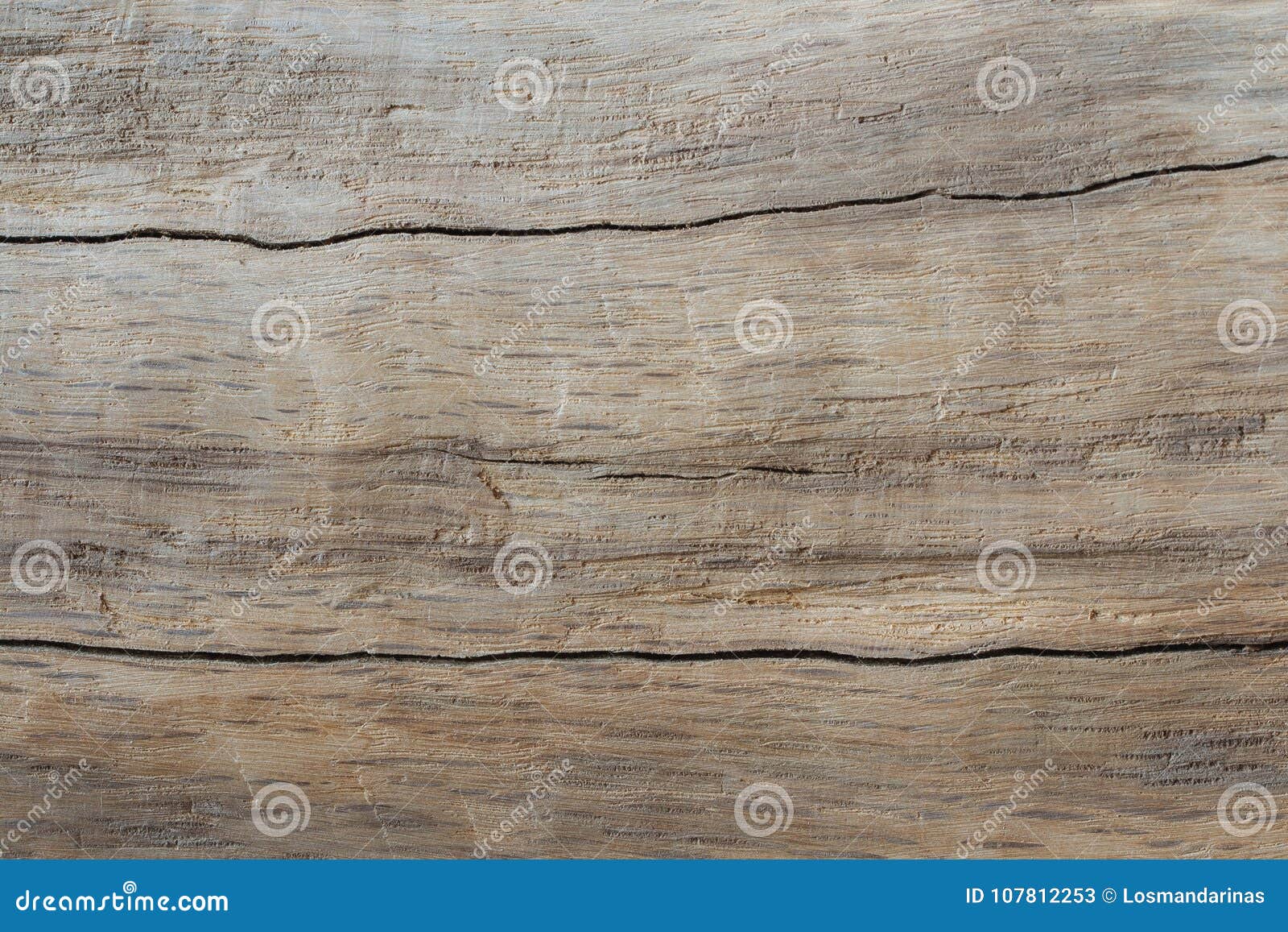 Light Gray Oak Wood Texture Stock Image - Image of round, light: 107812253