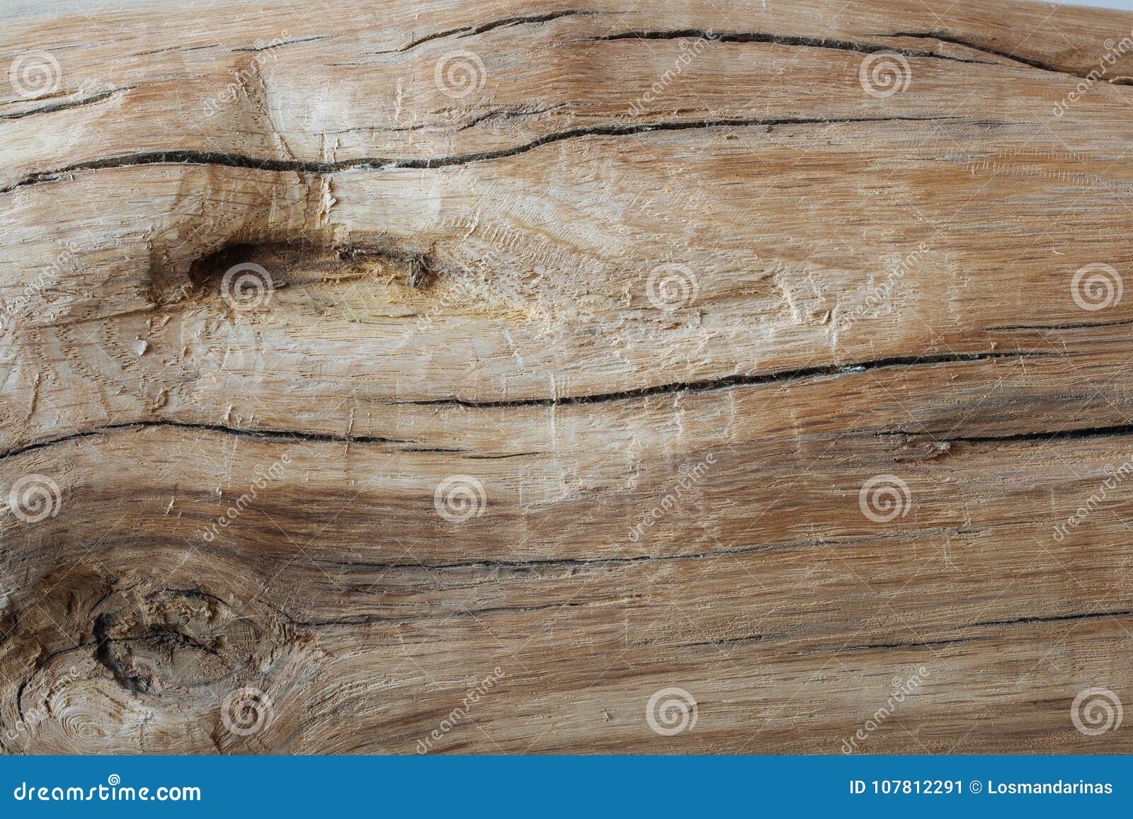 Light Gray Oak Wood Texture Stock Image - Image of macro, material ...