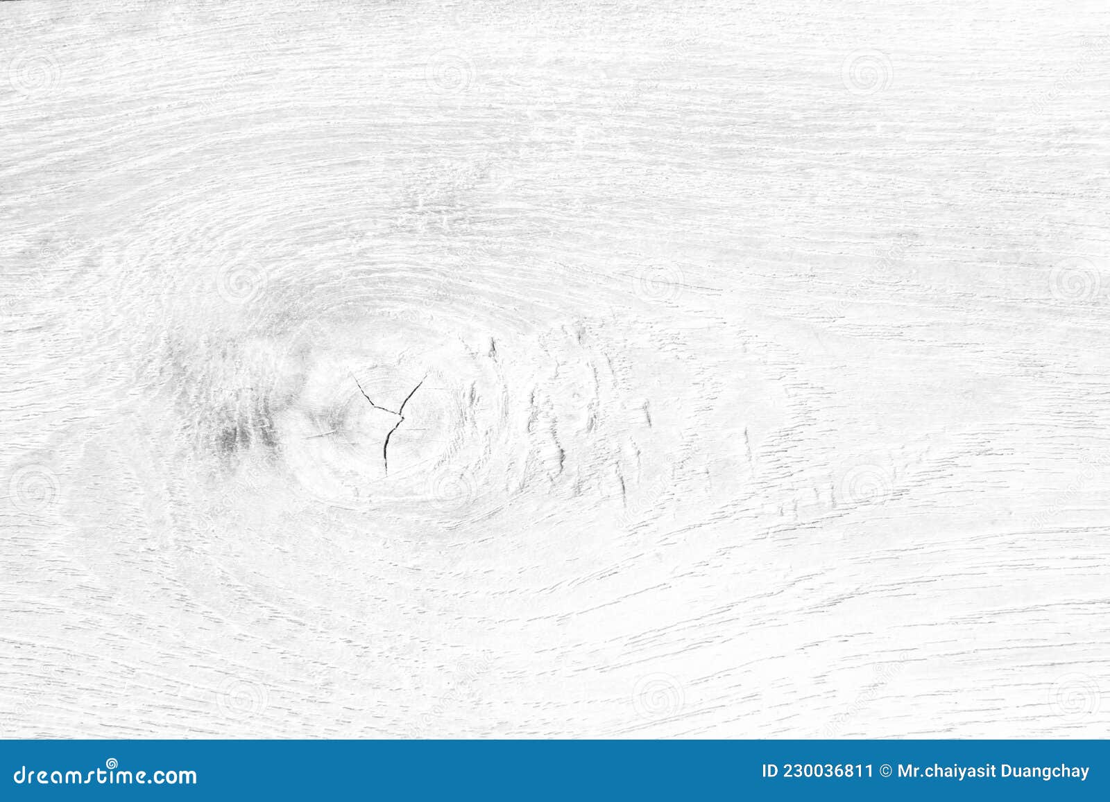 Light Gray Wood Pattern Surface for Texture and Background Copy Space ...