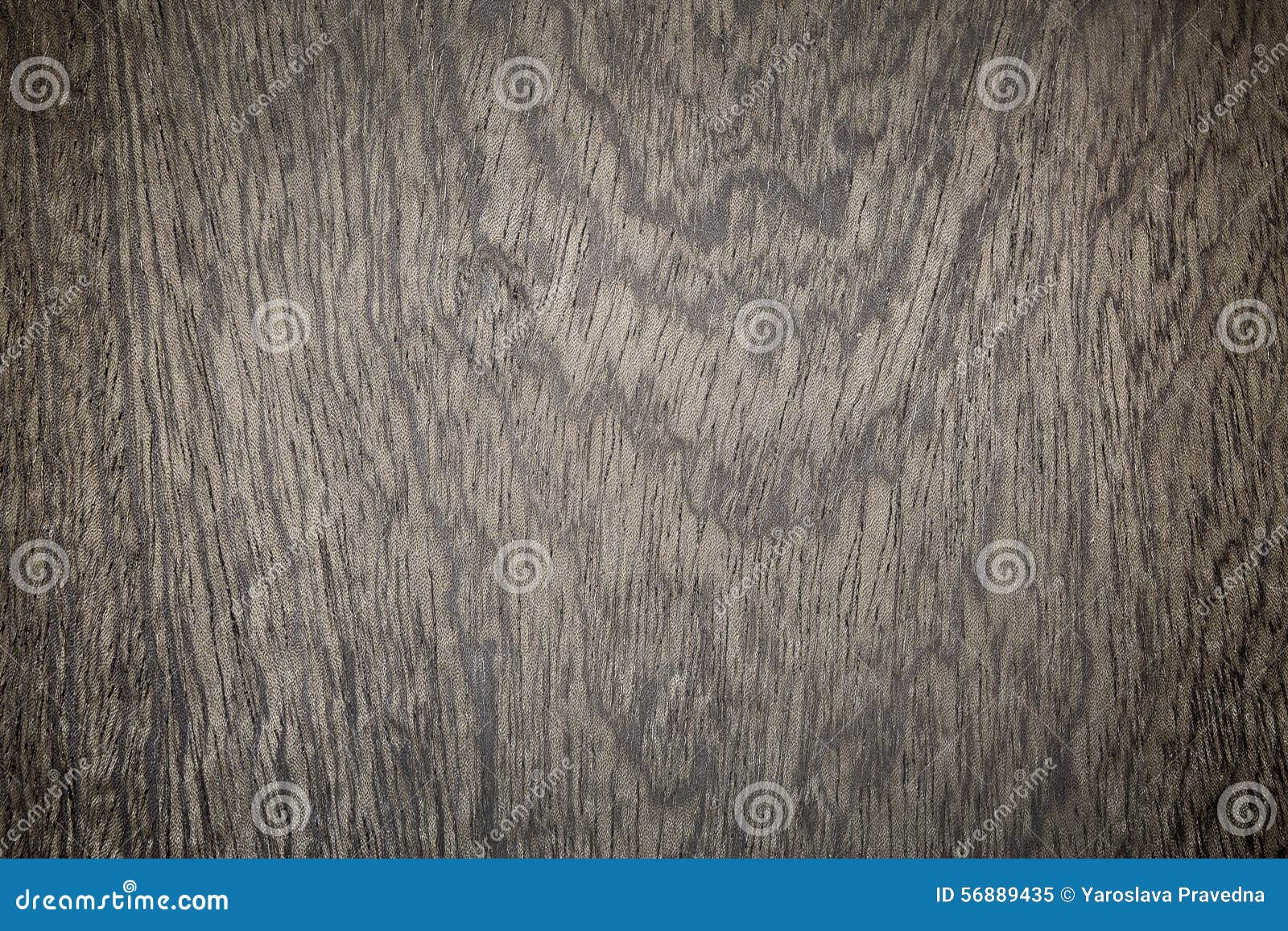 Light gray wood texture stock image. Image of light, material - 56889435