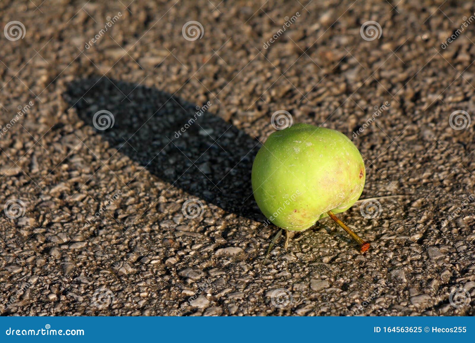Light Green Apple Left on Local Paved Road Casting Long Shadow at ...