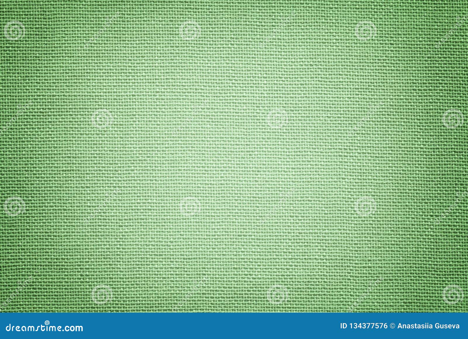 Light Green Texture