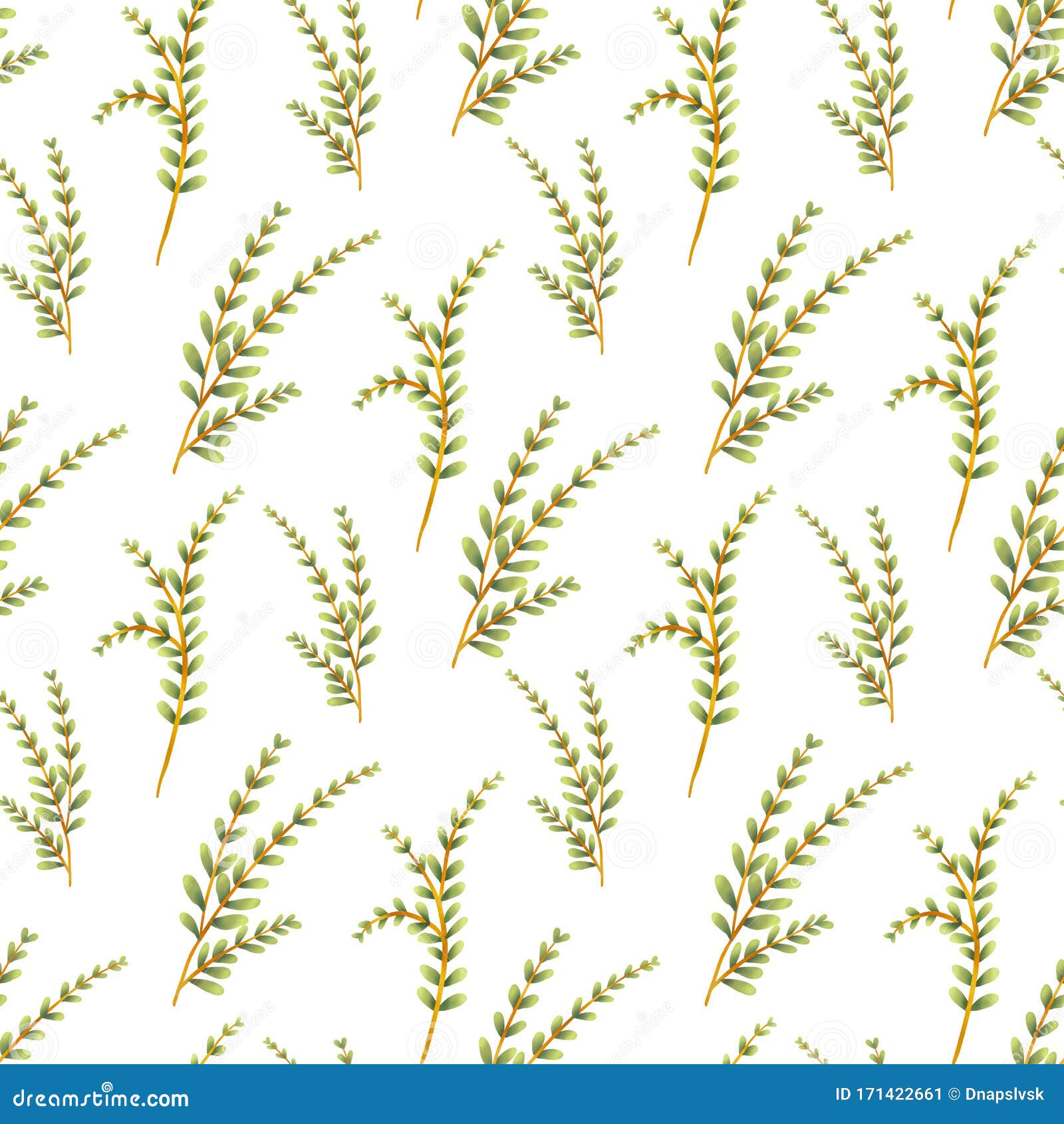 Light Green Branches Drawn by Hand on a White Background, Illustrations ...