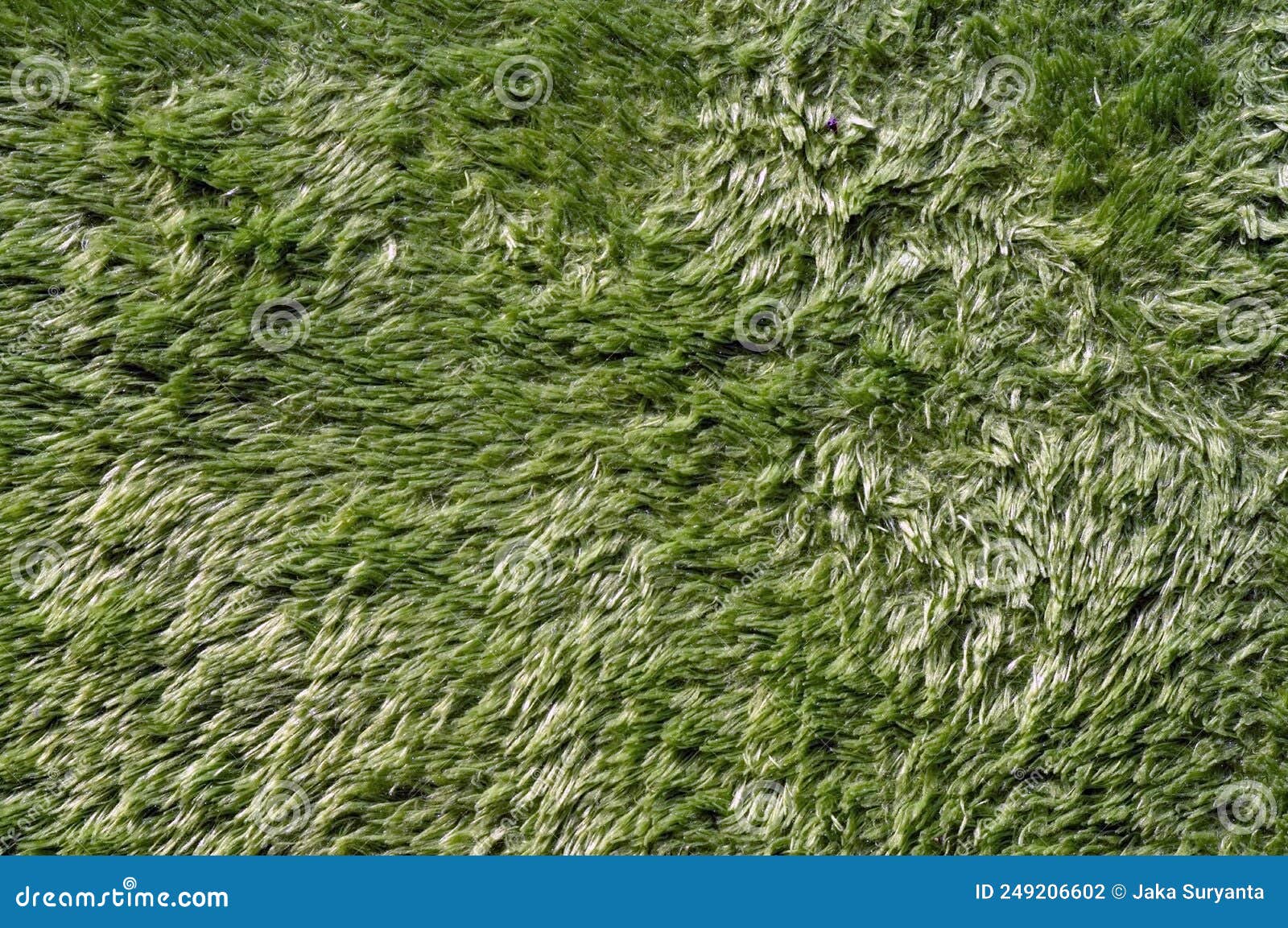 Light Green Carpet Texture Background and Wallpaper Stock Photo - Image ...