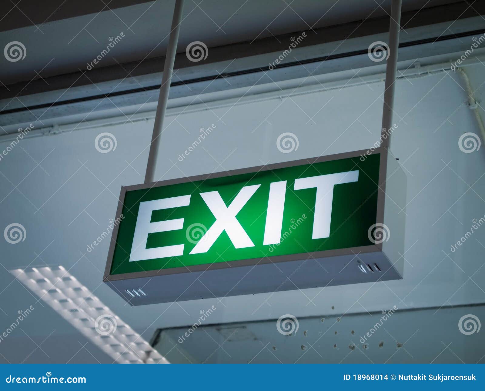 Light green Exit sign stock photo. Image of warning, building - 18968014