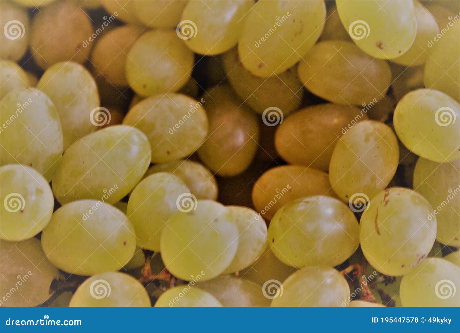 Light Green Grapes for the Background. Stock Photo - Image of strange ...