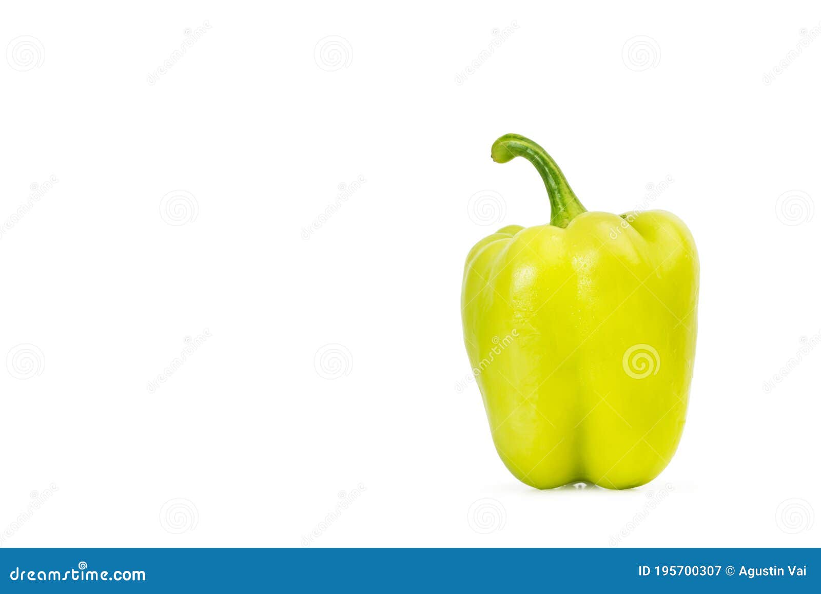 One Light Green Pepper Isolated Stock Image - Image of peppers, healthy ...