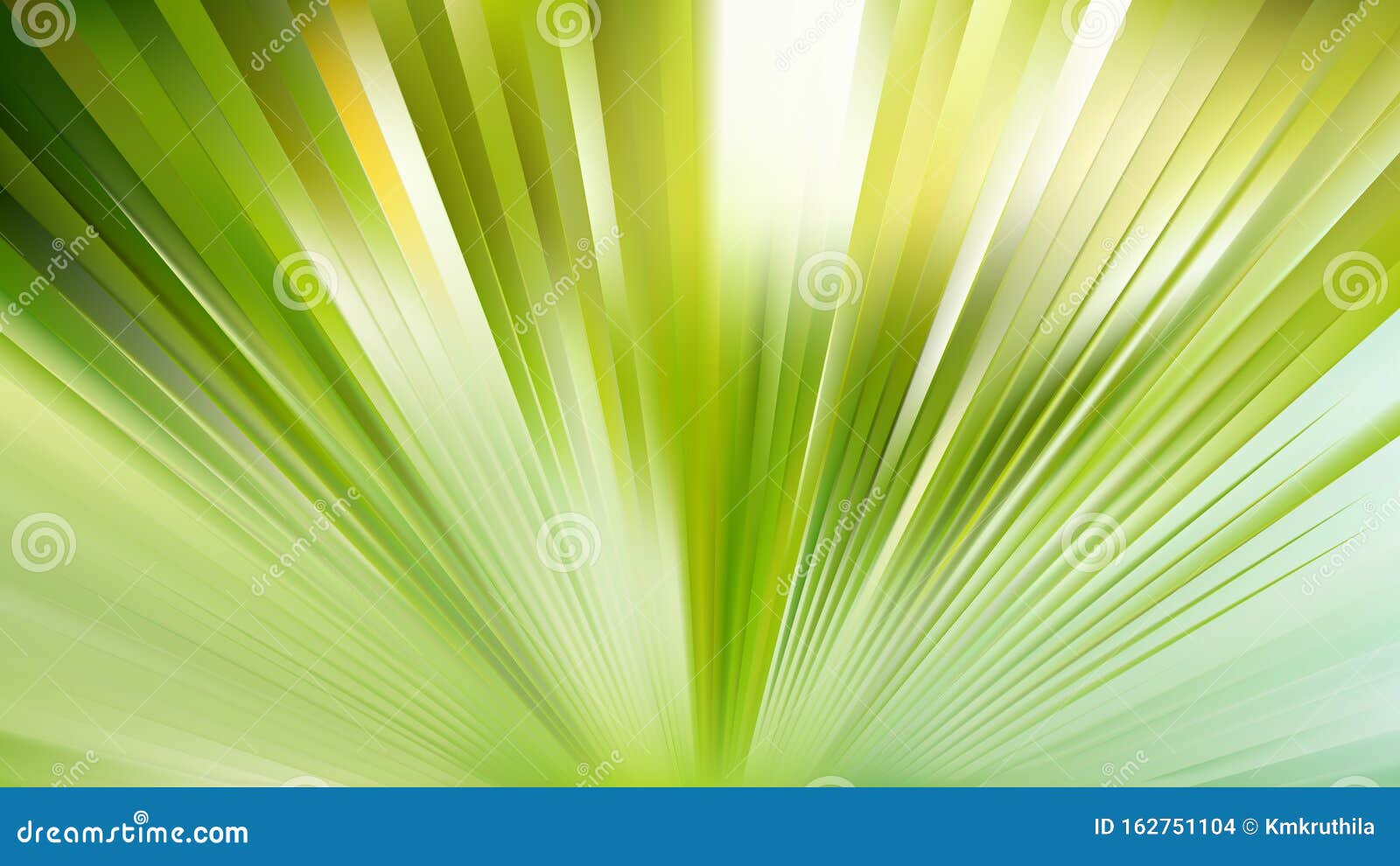 Light Green Rays Background Vector Art Stock Vector - Illustration of ...