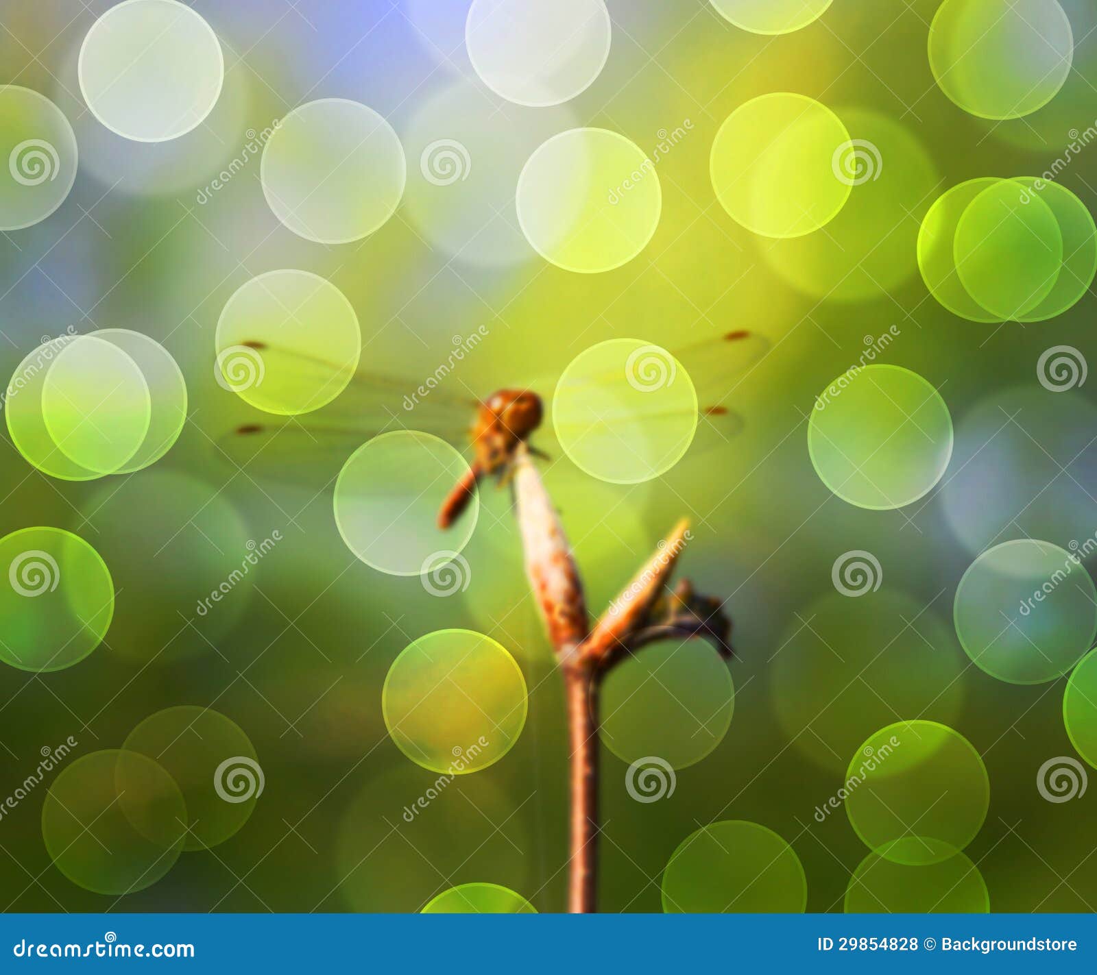 Spring Background stock photo. Image of design, morning - 29854828