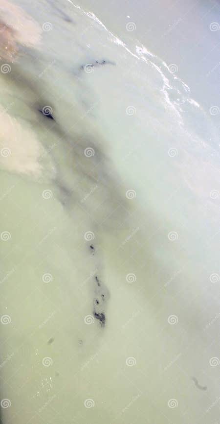 Light Green Smooth Surface Texture Stock Photo - Image of light ...