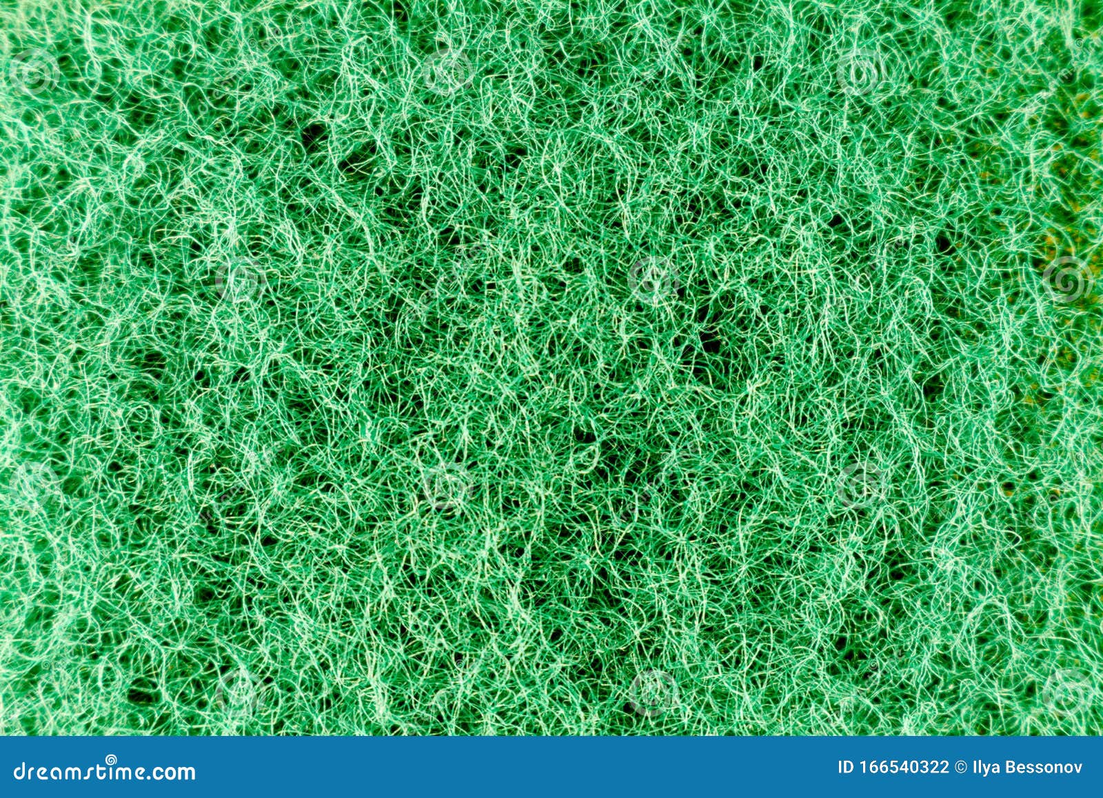 Light Green Sponge Made of Fibrous Material. Texture, Background. in ...