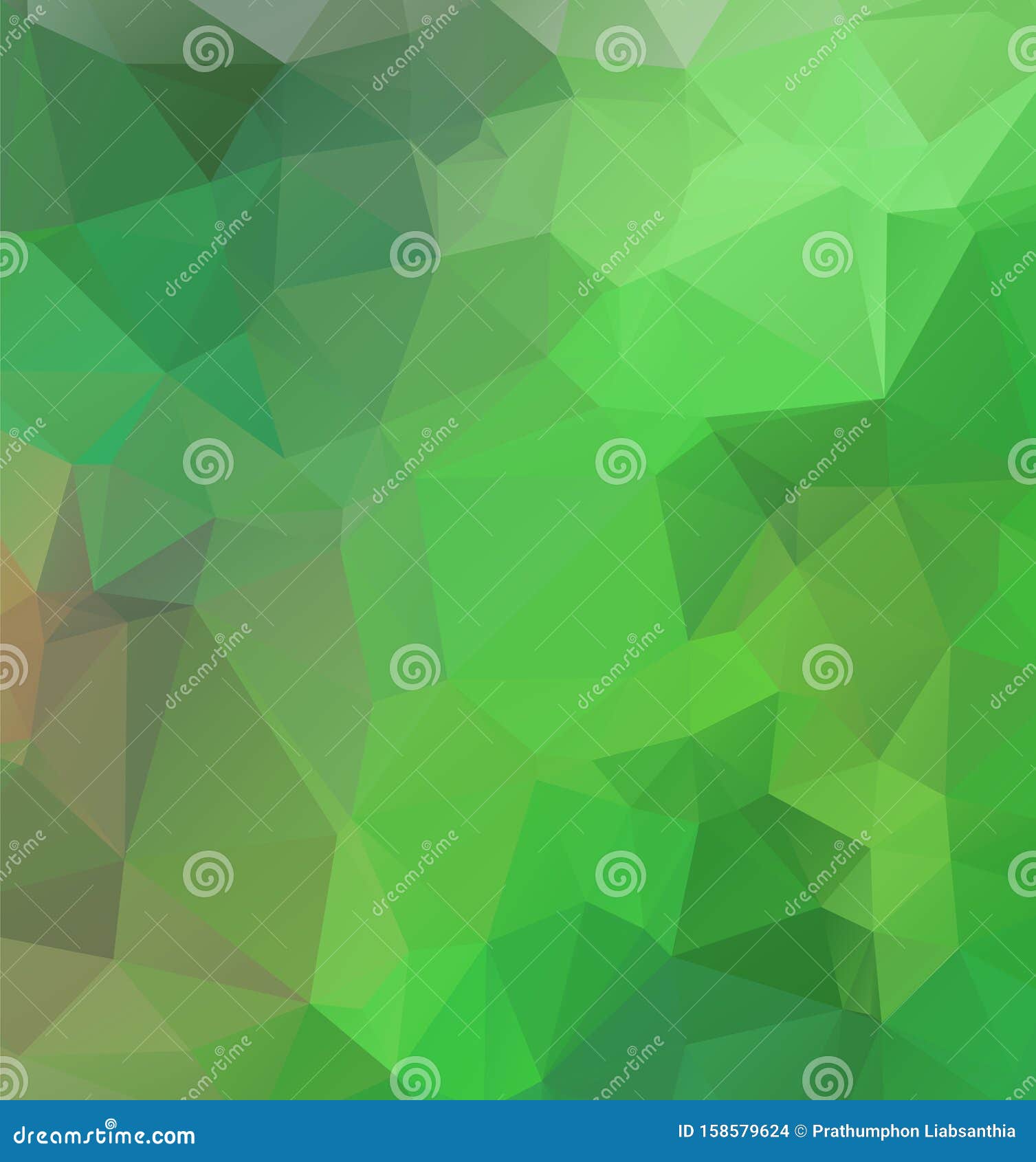 Light Green Vector Polygon Abstract Backdrop. Polygonal Abstract Vector ...