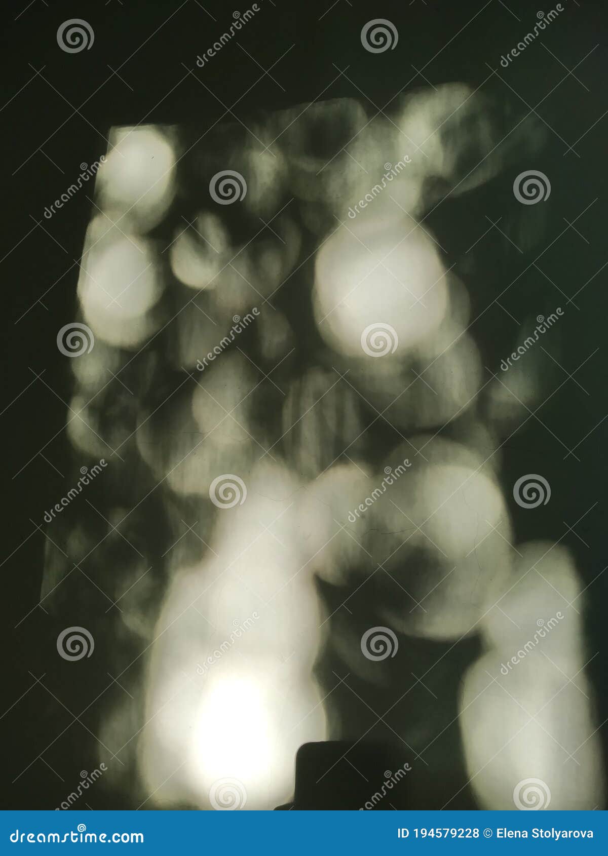 A Light Green Wall Lit by the Sun with Shadows from Tree Branches Stock ...