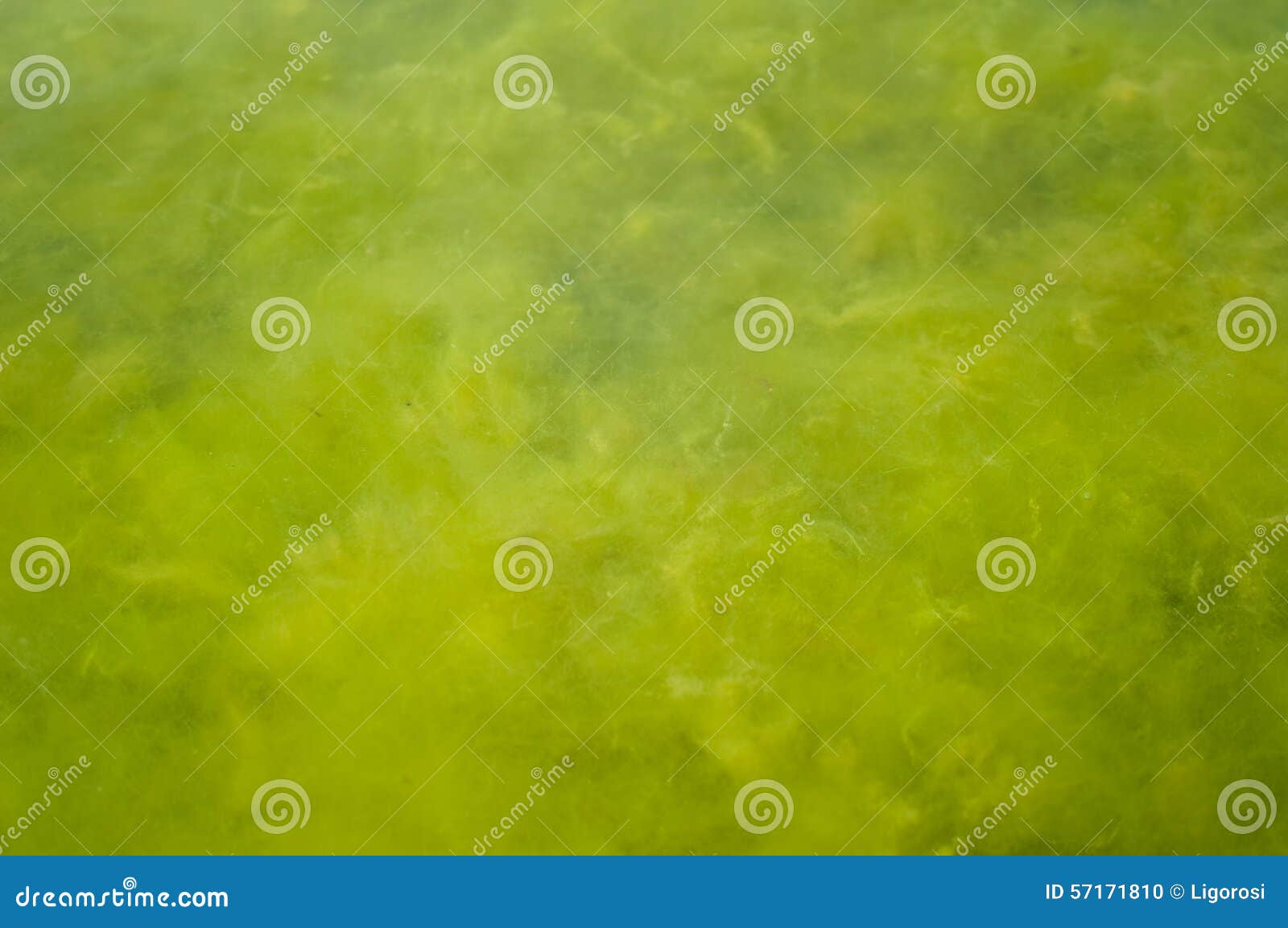 Light Green Water Ripple Background Texture Stock Photo - Image of cold ...