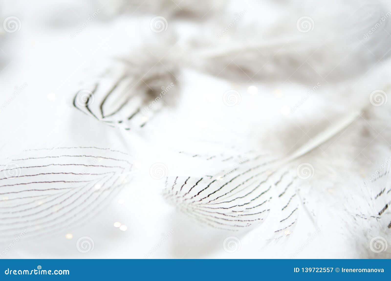 Light Grey Bird Feather Texture Background Stock Image - Image of ...