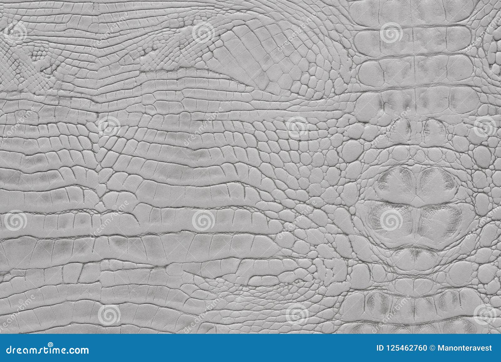Light Grey Color Animal Snake Print Texture Leather Background Stock ...