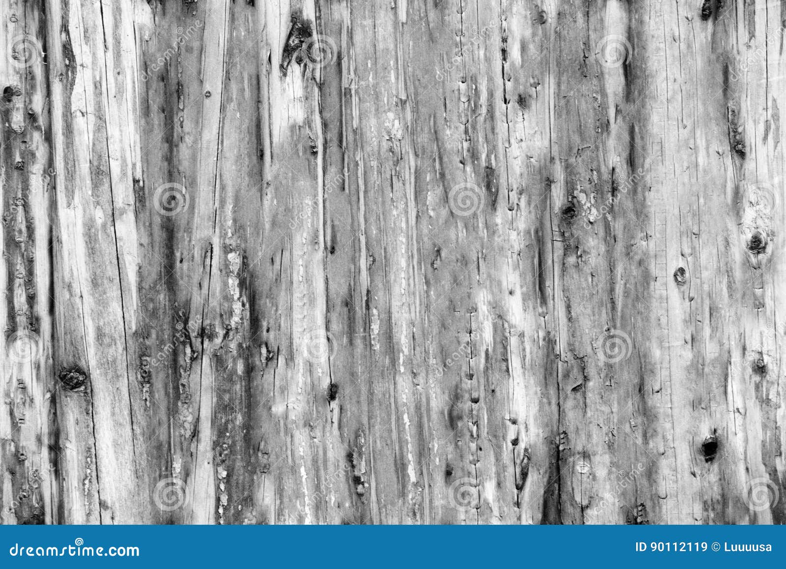 Light Grey Old Log Cabin Wall Texture. Dark Rustic House Log Wall Stock ...