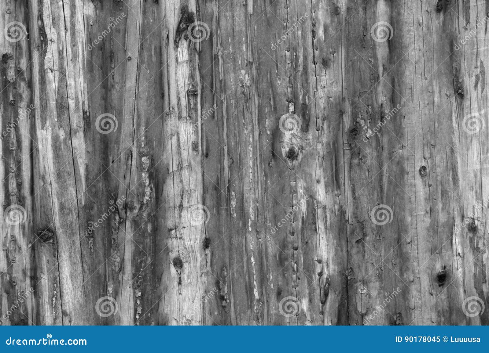 Light Grey Old Log Cabin Wall Texture. Dark Rustic House Log Wall Stock ...