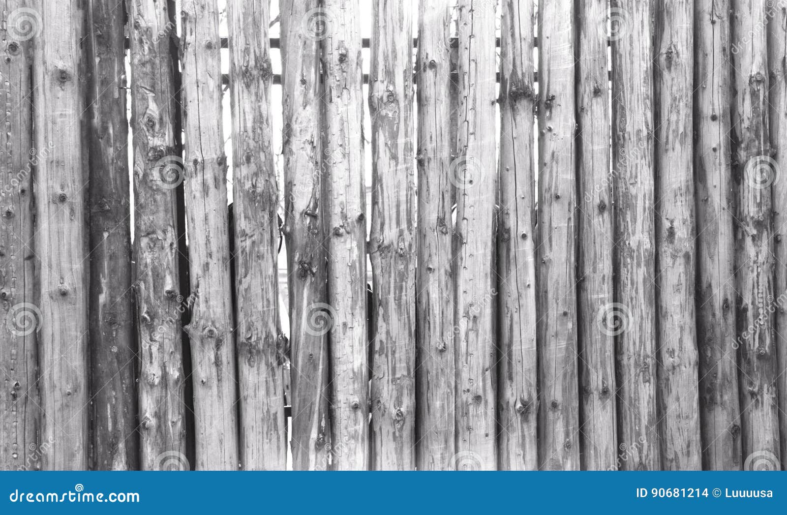 Light Grey Old Log Cabin Wall Texture. Light Rustic House Log Wall ...