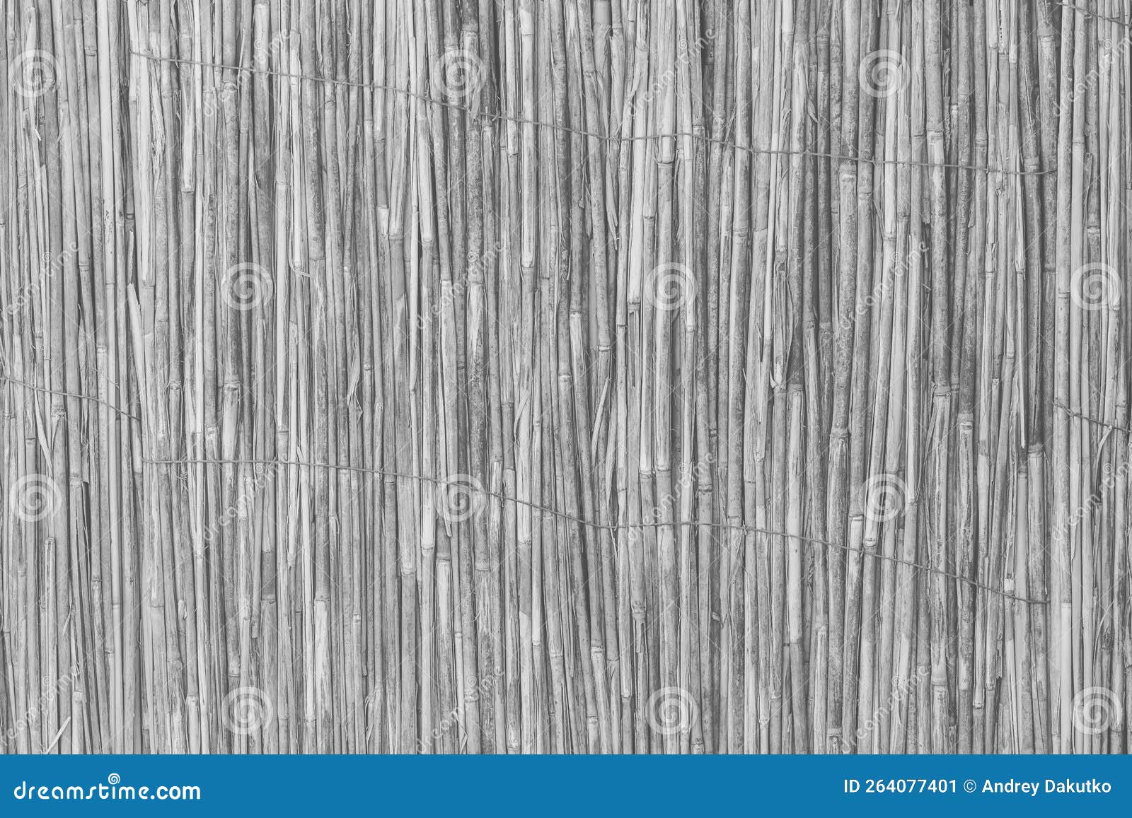 Light Grey Reed Interior Pattern Bamboo Handmade Wall Wicker Texture ...