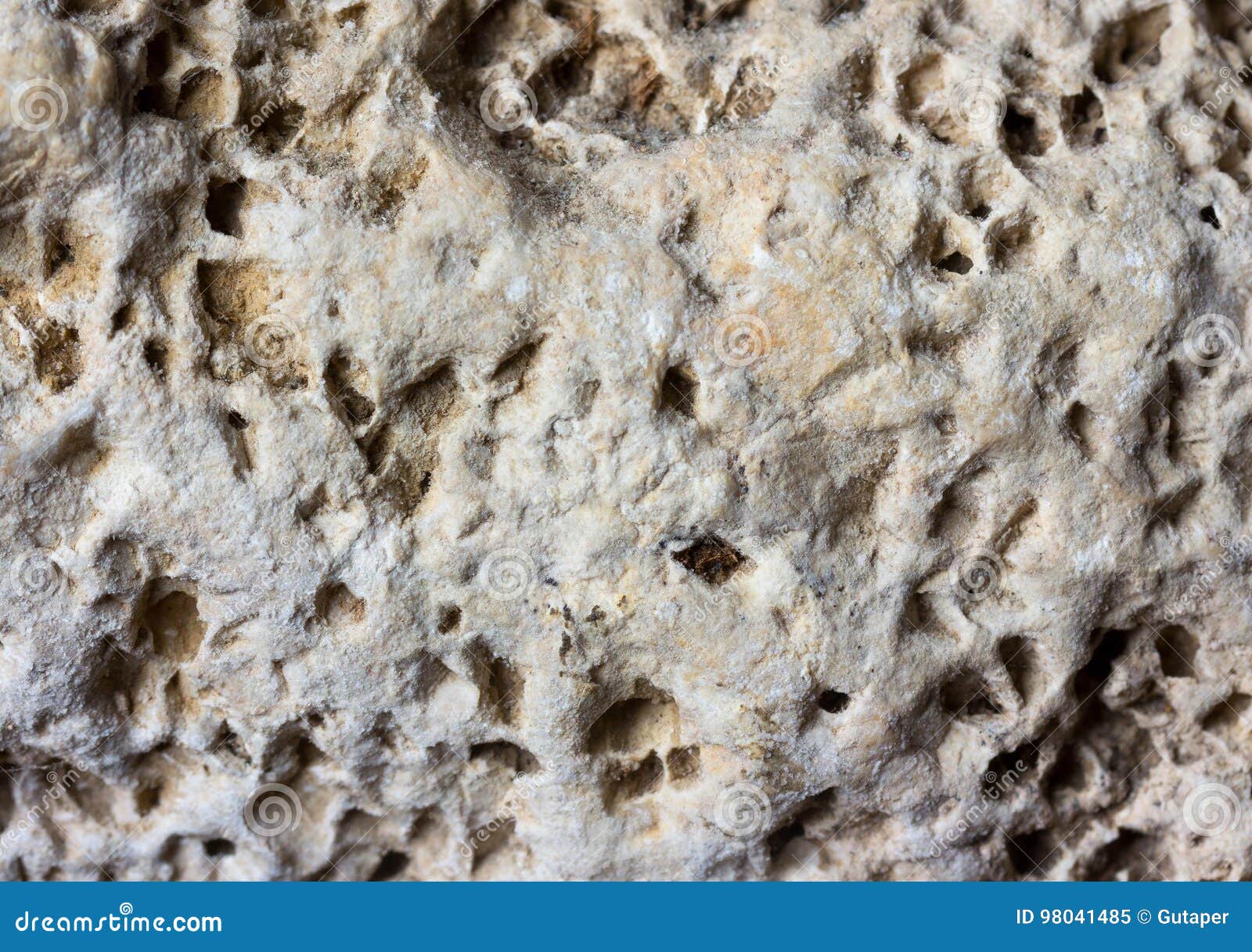 Light Grey Stone Porous Background Texture Limestone Stock Image ...