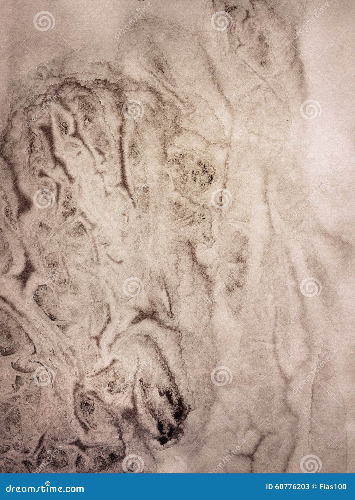 Light Grunge Brown Recycled Parchment with Stains Stock Image - Image ...