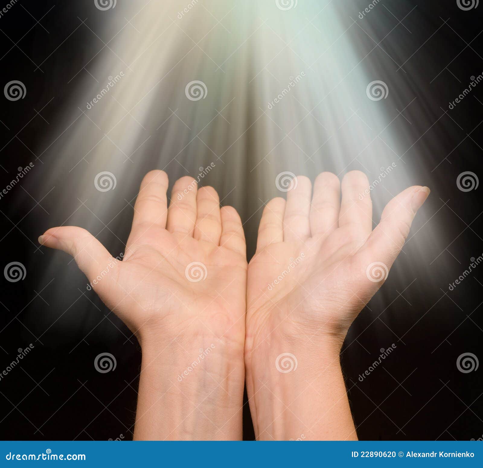 LIGHT on hands stock photo. Image of care, knuckle, cupped - 22890620