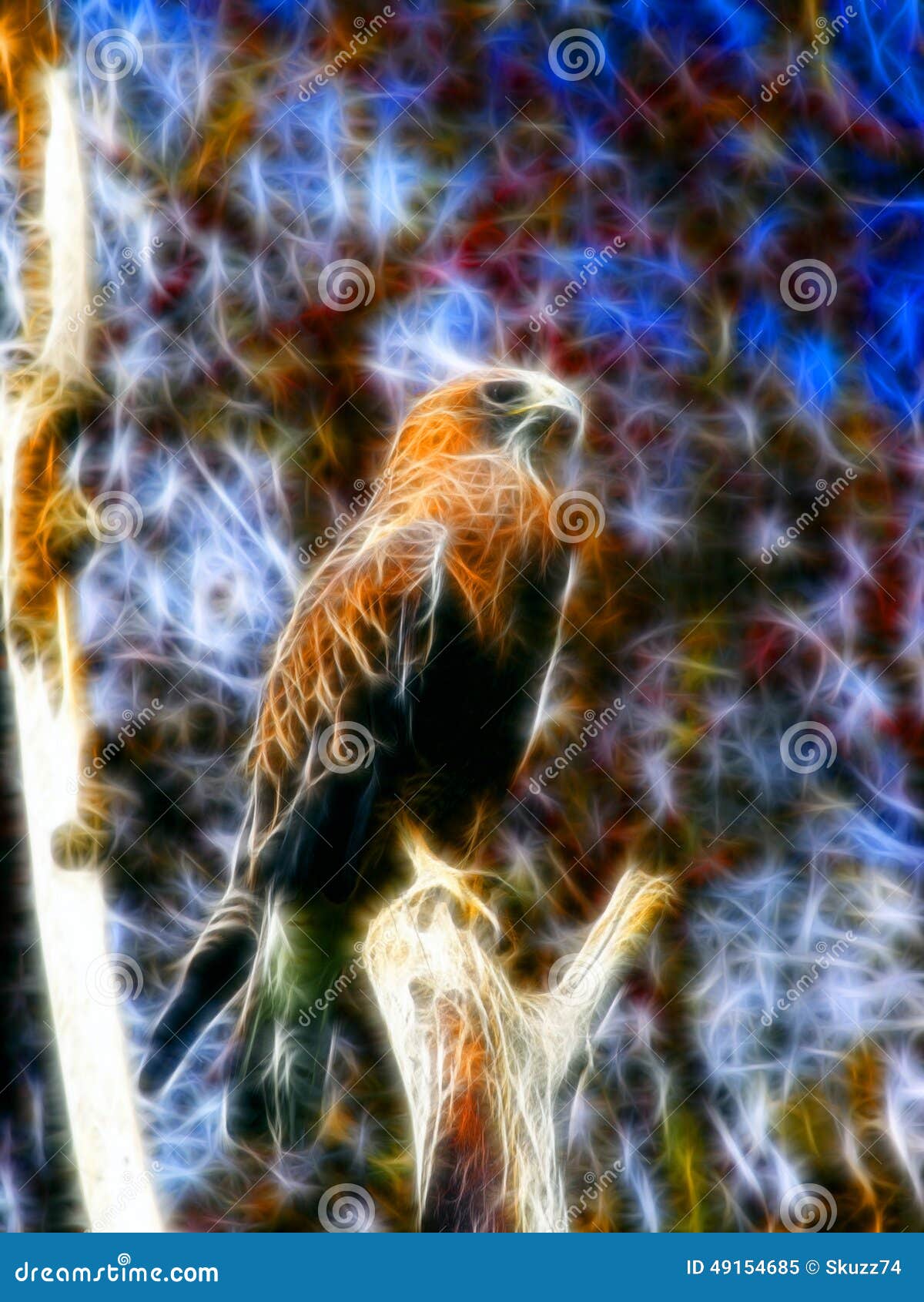 Light Hawk stock image. Image of outdoor, peace, tree - 49154685