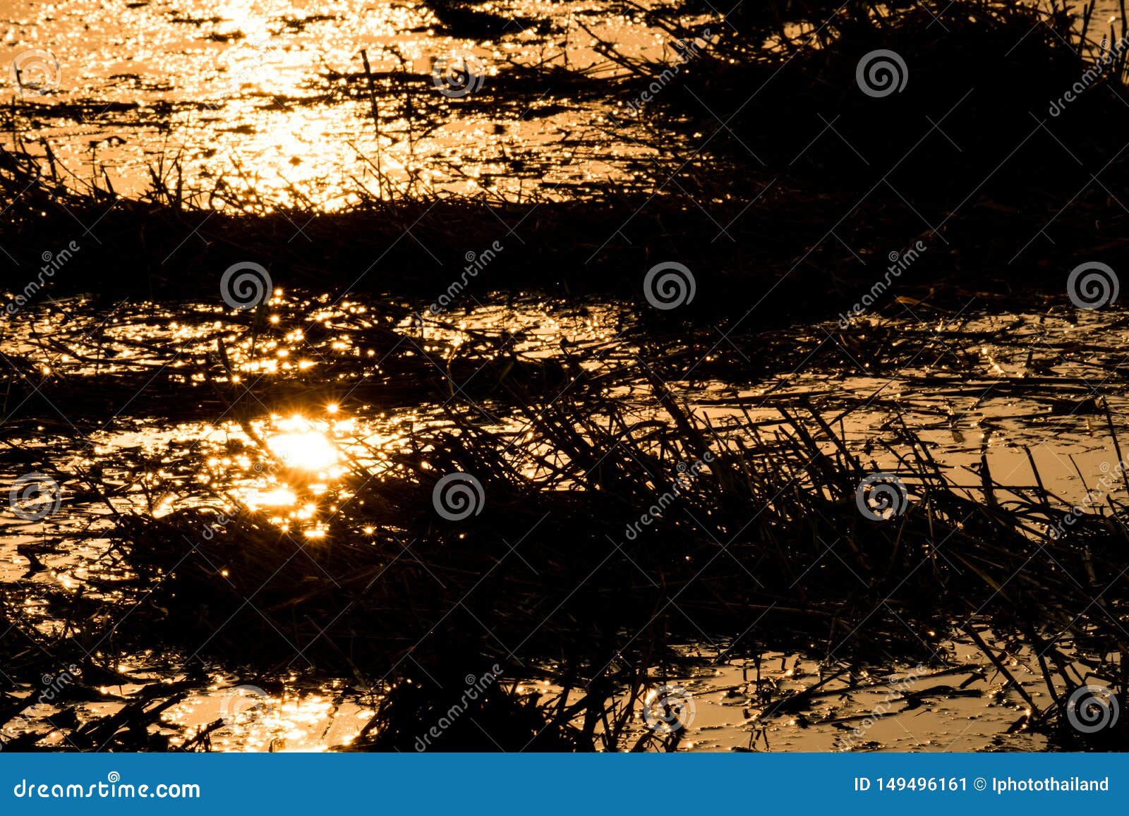 Light Hits the Water, Sunset in the Evening Stock Image - Image of ...