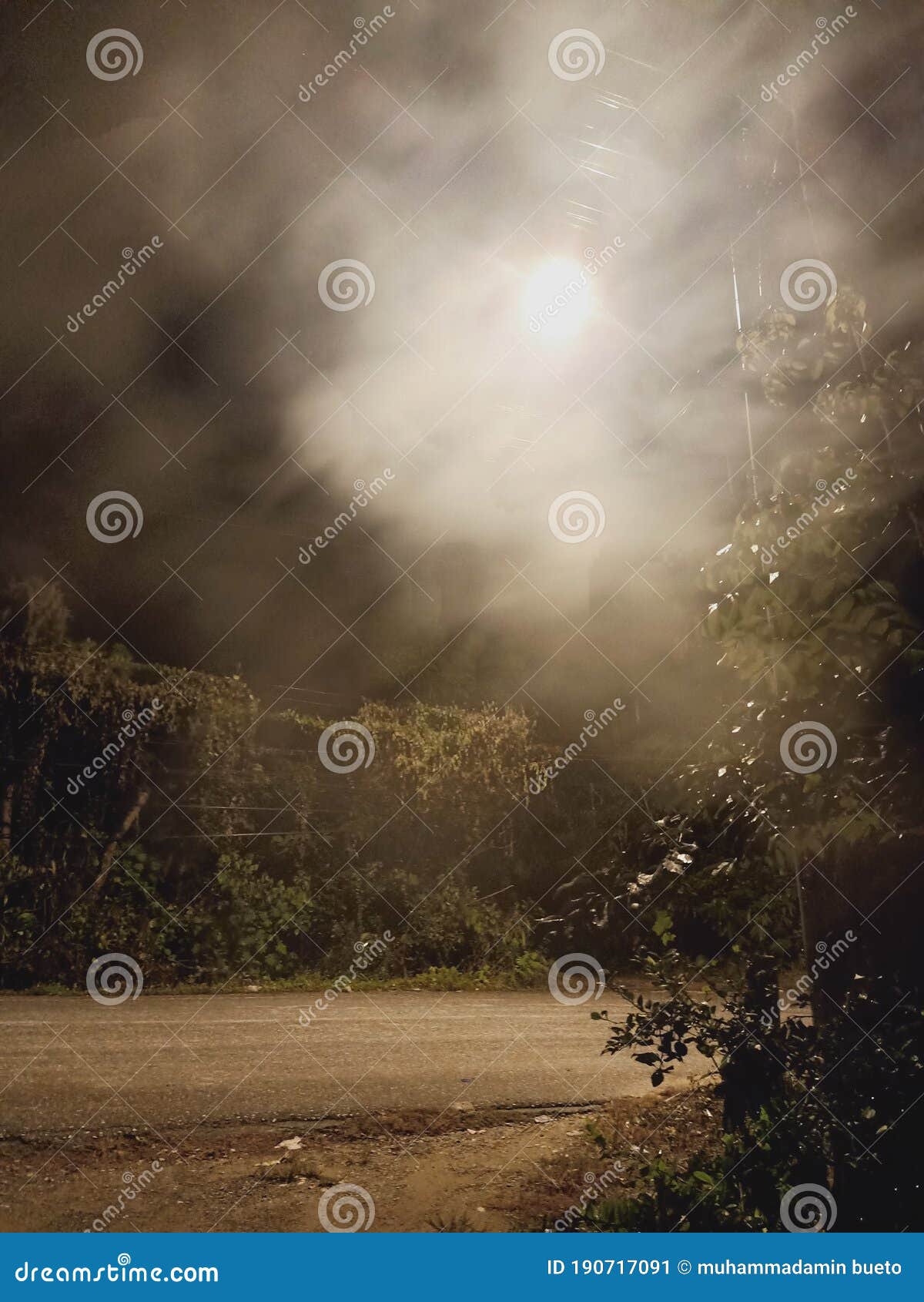 Light of hope stock image. Image of cloud, evening, leaf - 190717091