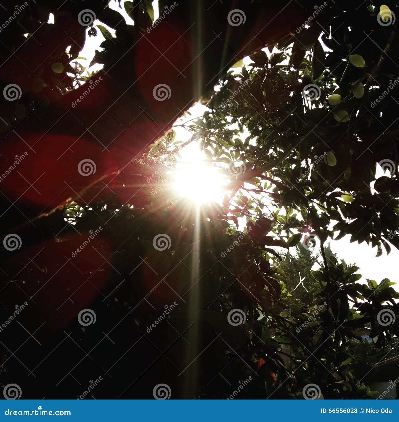 Light of hope stock photo. Image of dark, still, hope - 66556028