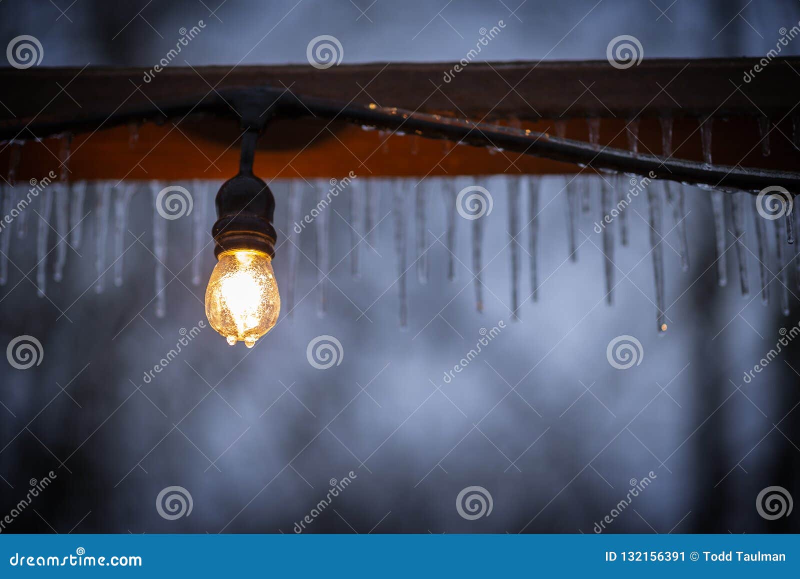 Light in the Ice Storm stock image. Image of single - 132156391