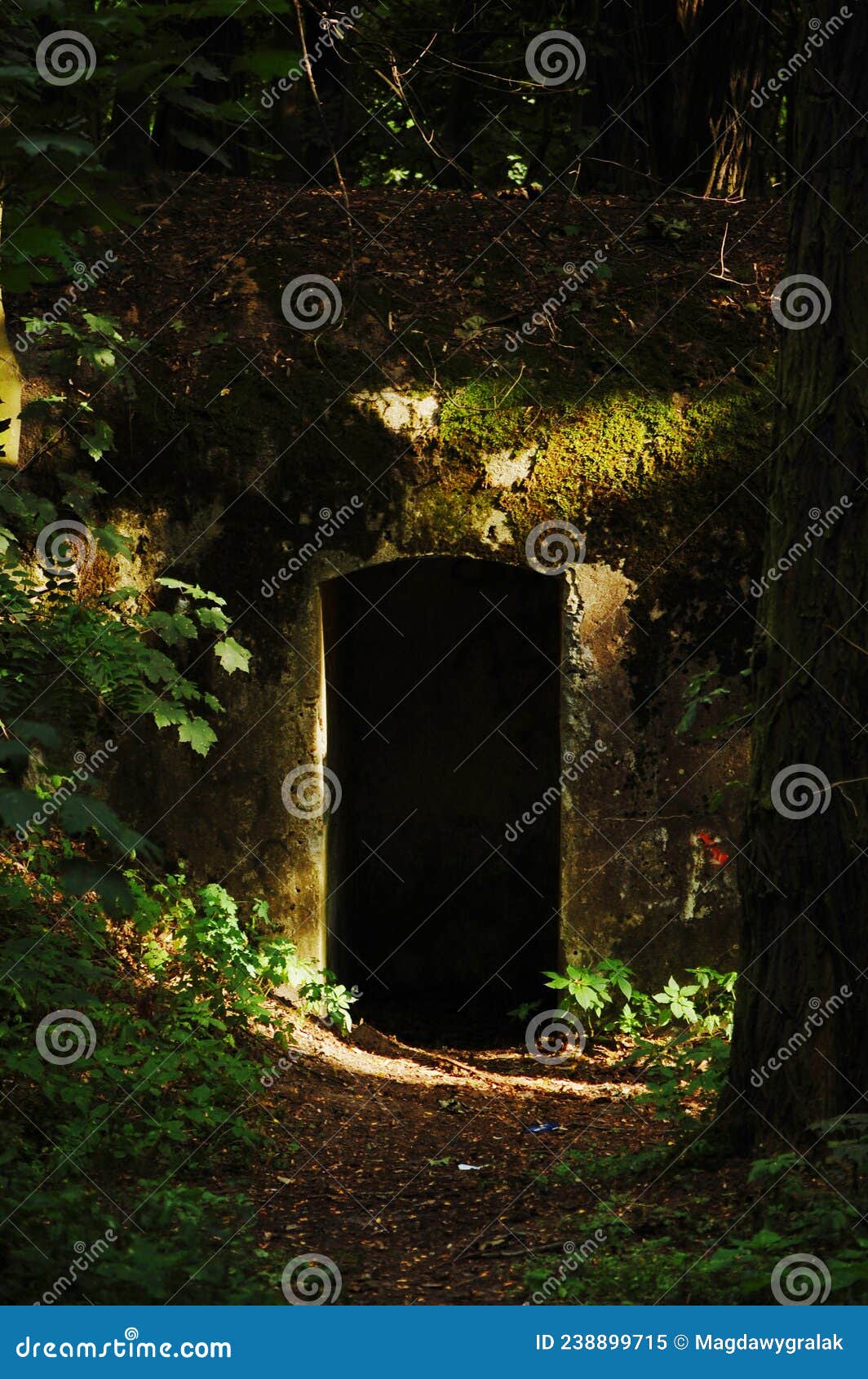 Inside Of Old Creepy Abandoned Mansion. Silhouette Of Horror Ghost ...