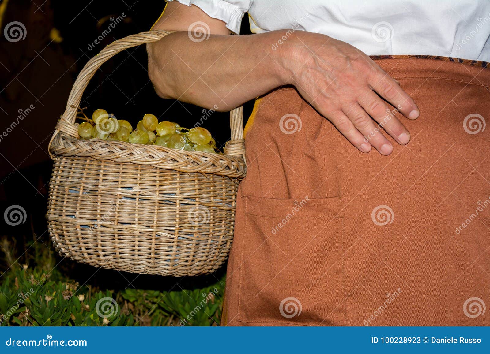 Light from the Inside of the Grapes in a Basket Hanging from One Stock ...