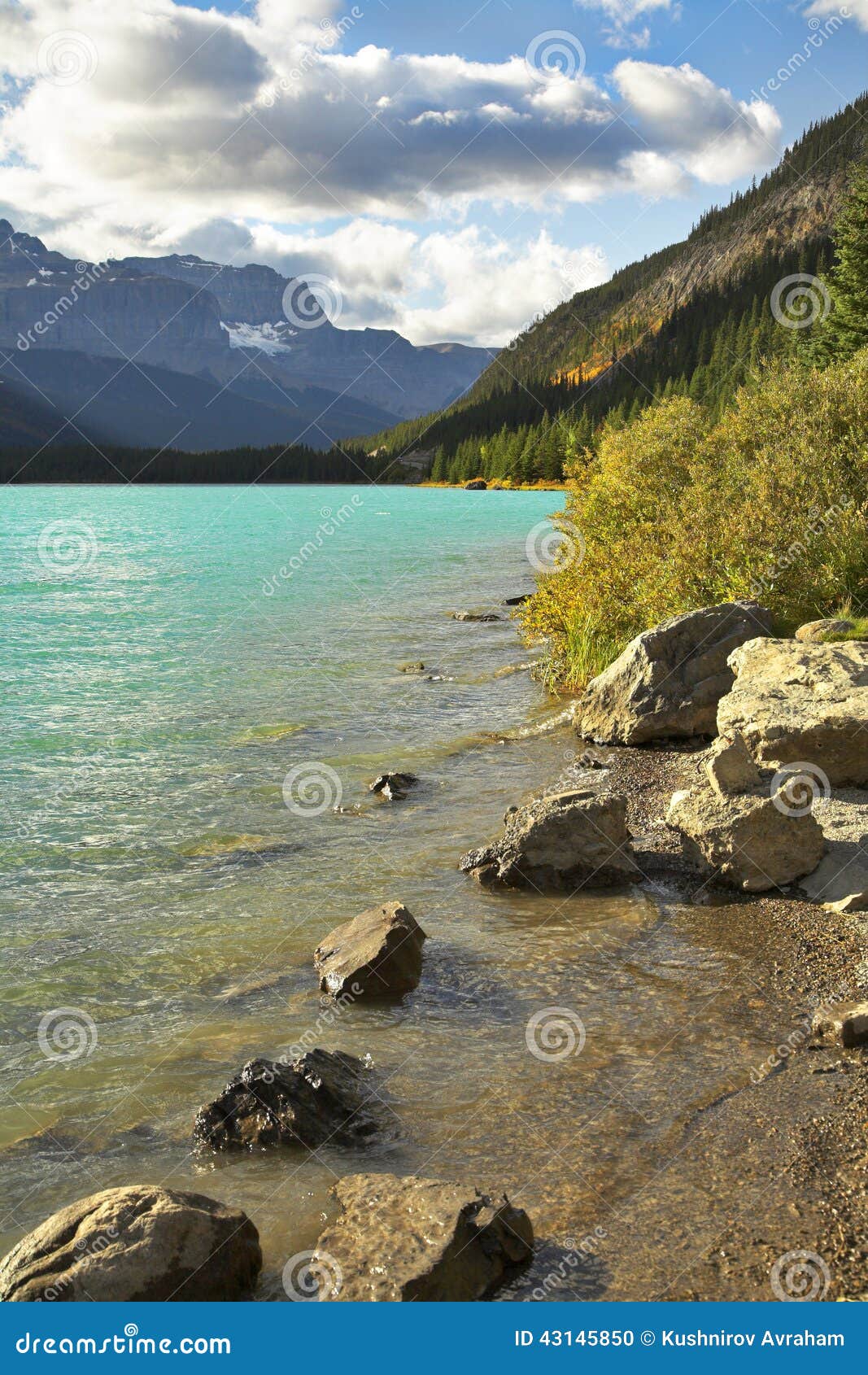 Light lake. stock photo. Image of conservation, reflect - 43145850