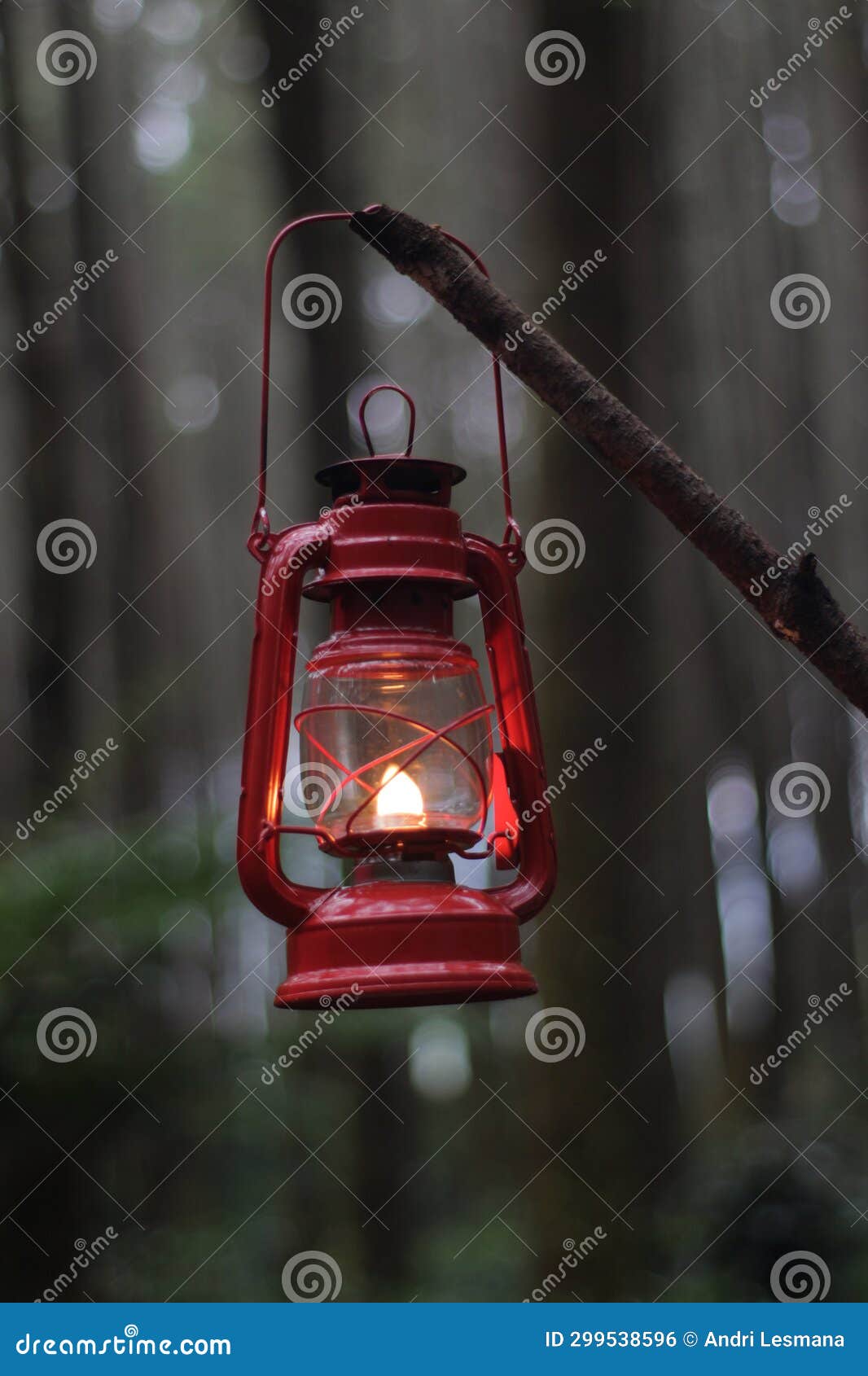 Light Lantern in the Forest Stock Photo - Image of bushcraft, forest ...