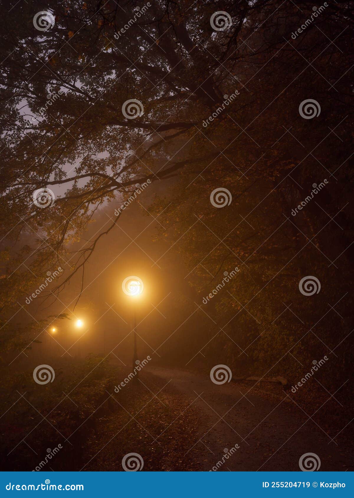 The Light of Lanterns on the Road in the Fog Stock Image - Image of ...