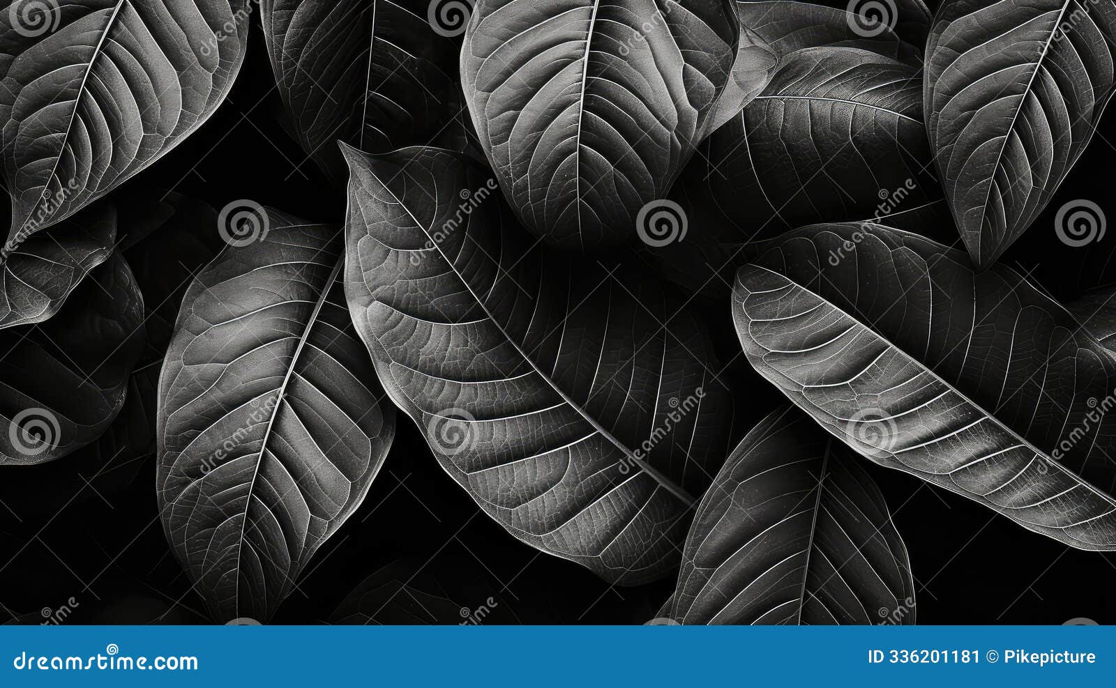 Light Leaf Pattern Background Stock Image - Image of natural, intricate ...