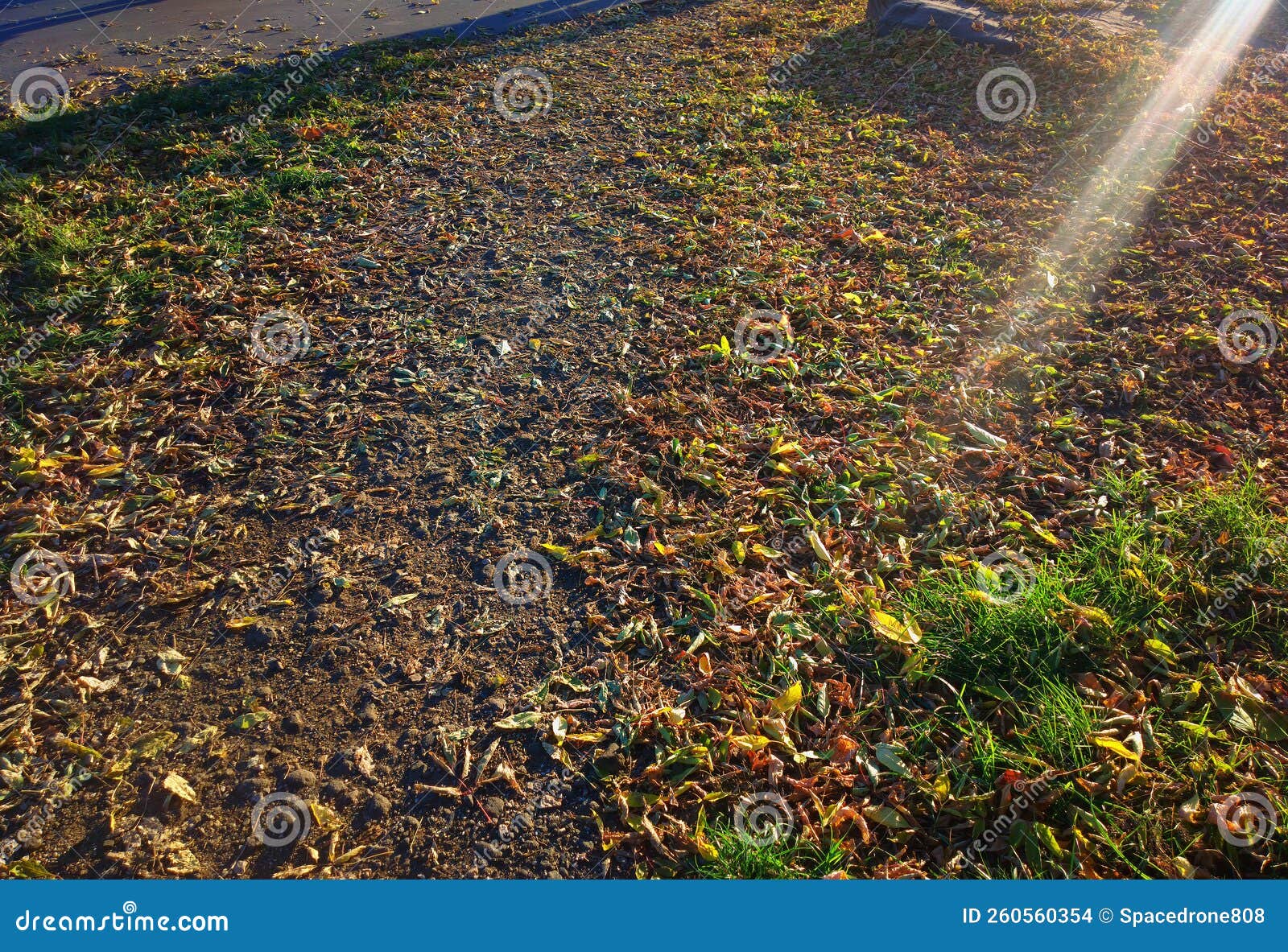 Light Leak on Autumn Ground Background Stock Photo - Image of beam ...