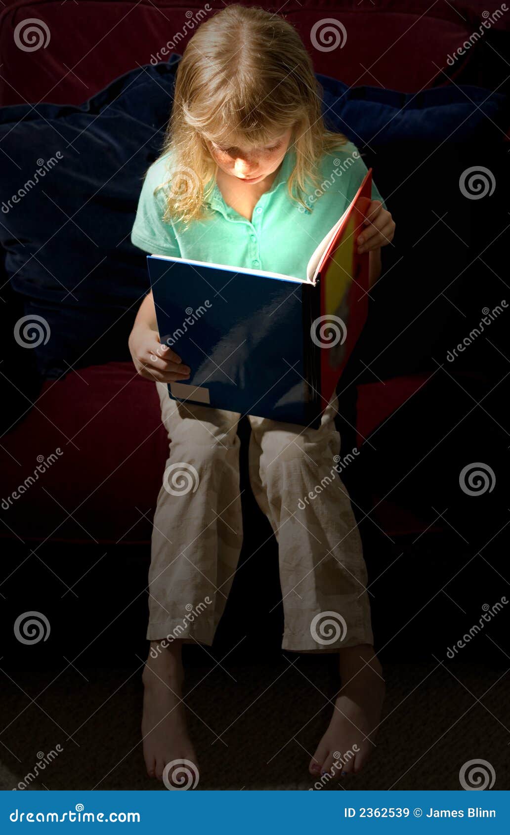 The light of learning! stock image. Image of educate, fairy - 2362539