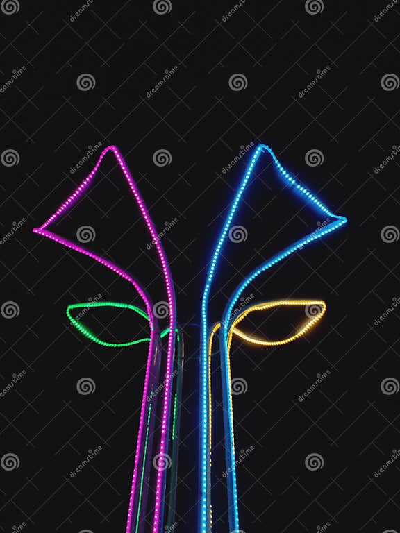 The light stock image. Image of poem, night, abstract - 287066237