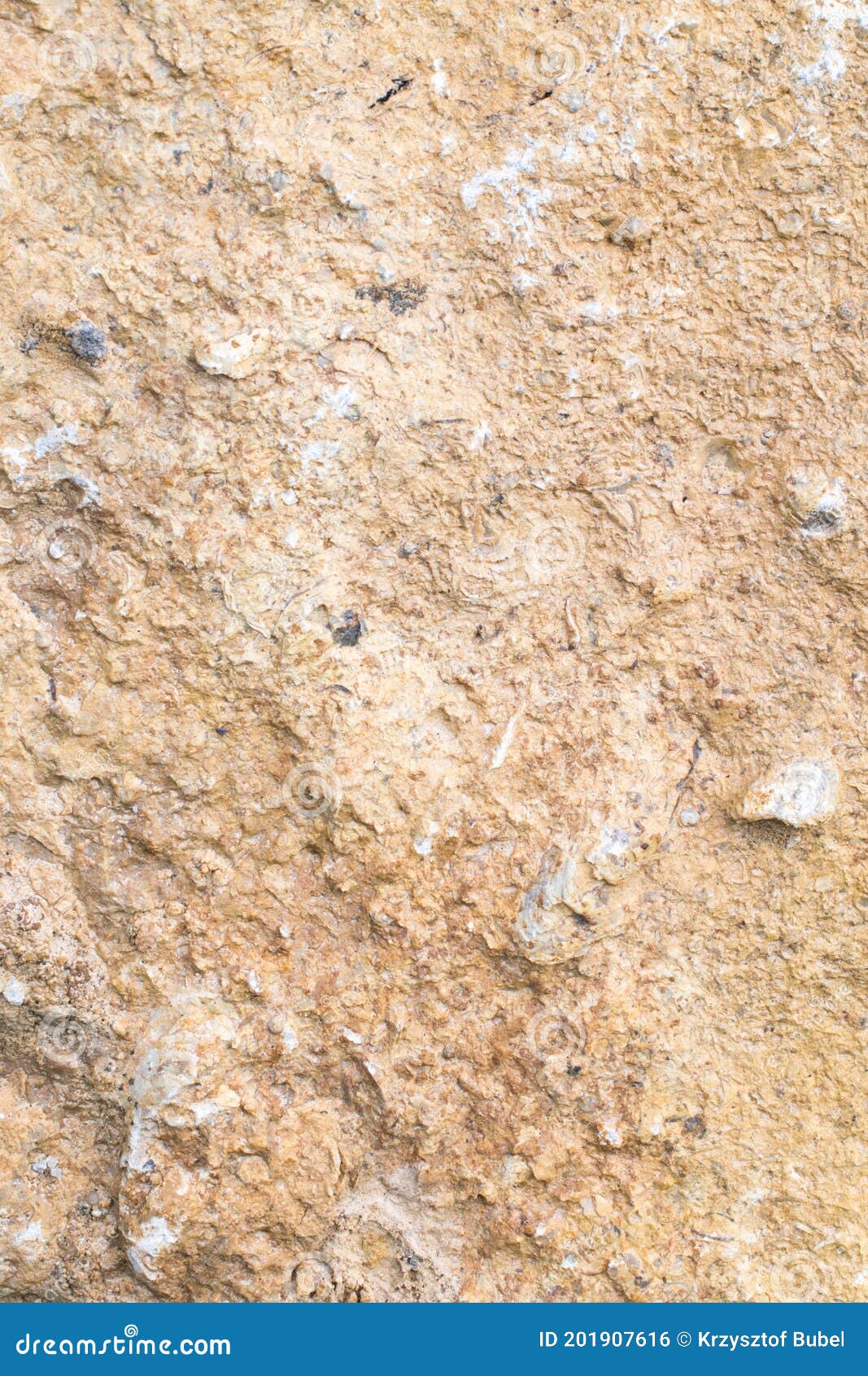 Light Limestone with Interesting Texture Visible. Background Stock ...