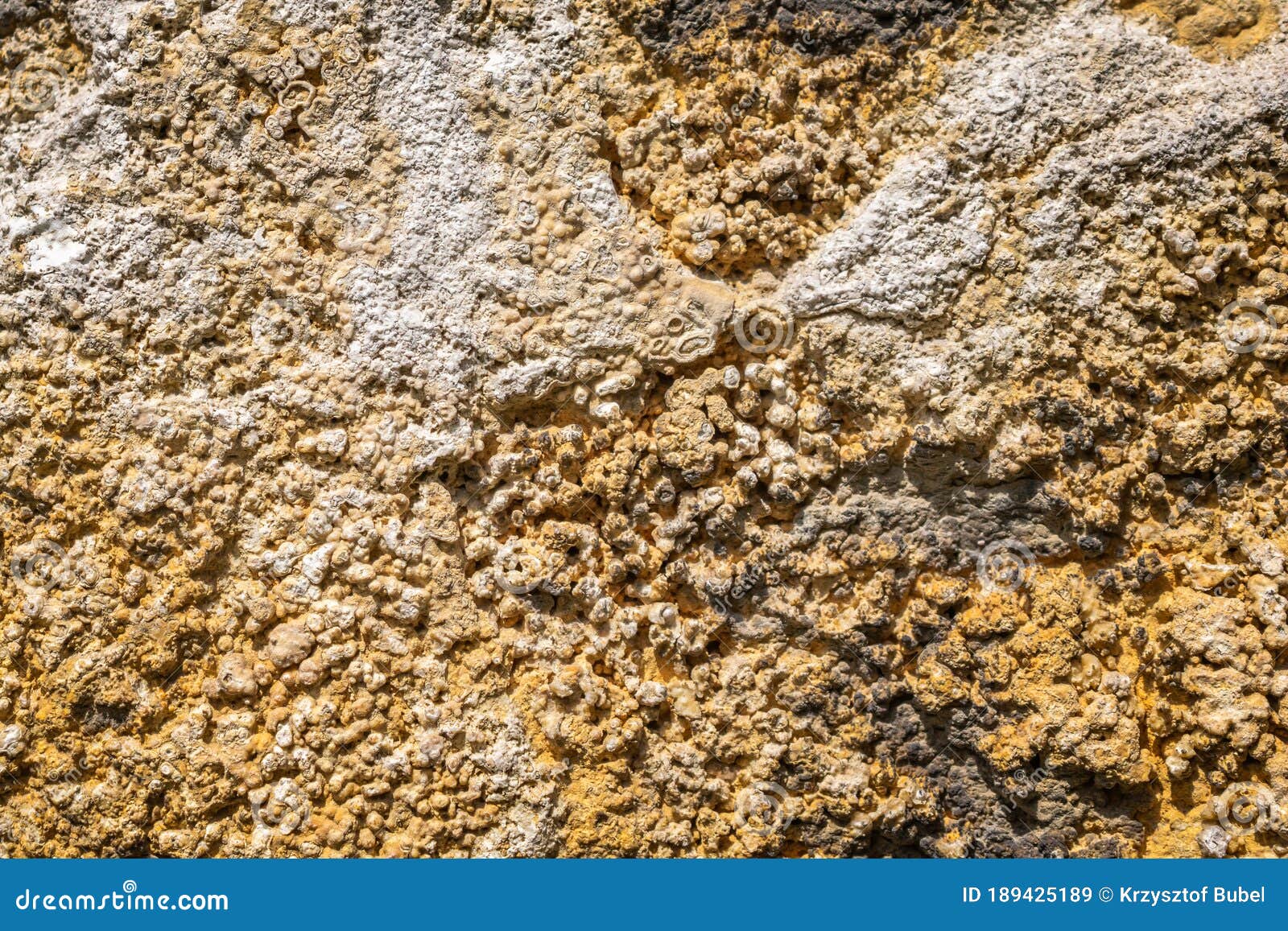 Light Limestone with Interesting Texture Visible Stock Image - Image of ...